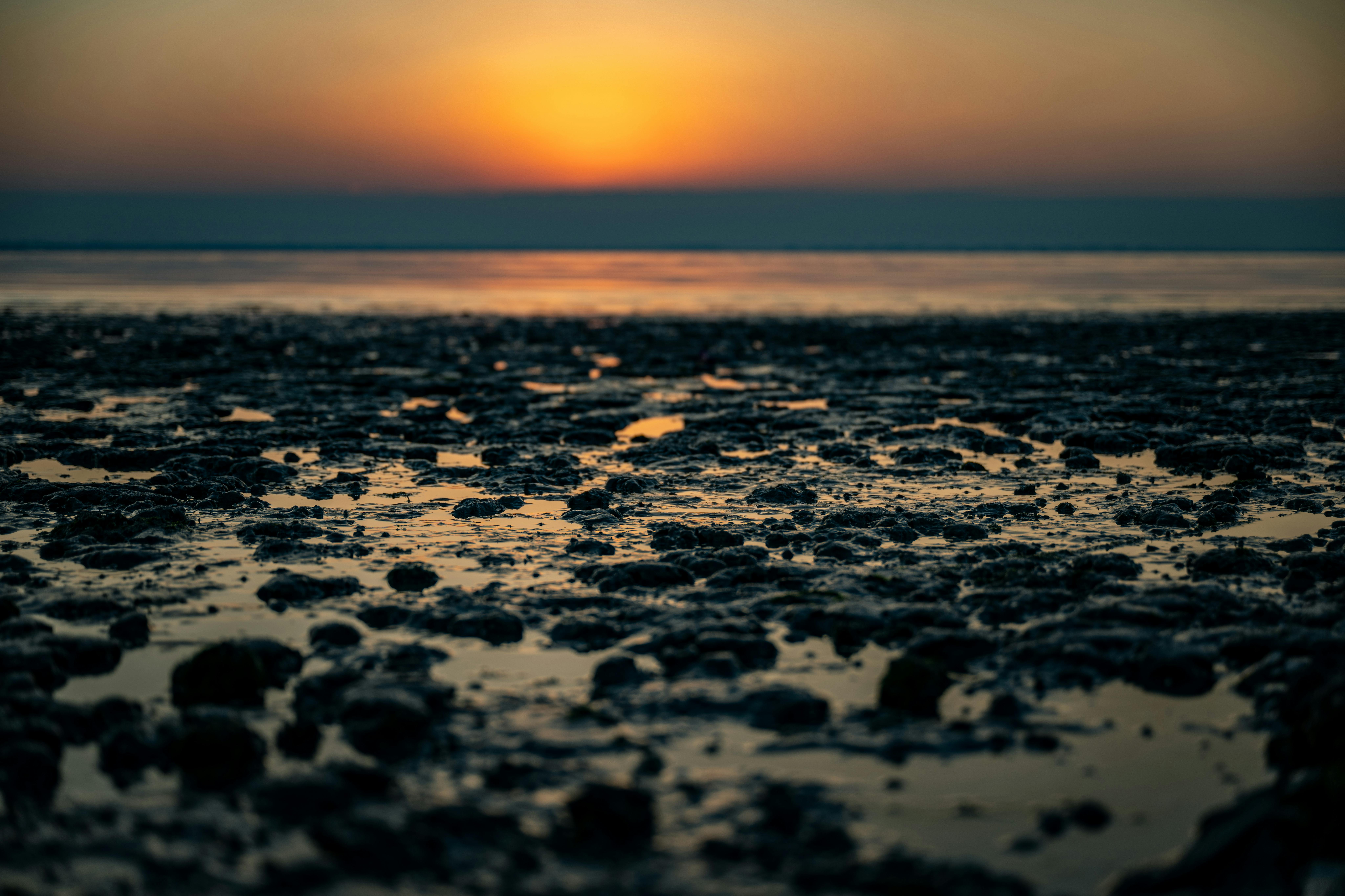 Mud on Ground at Sunset · Free Stock Photo