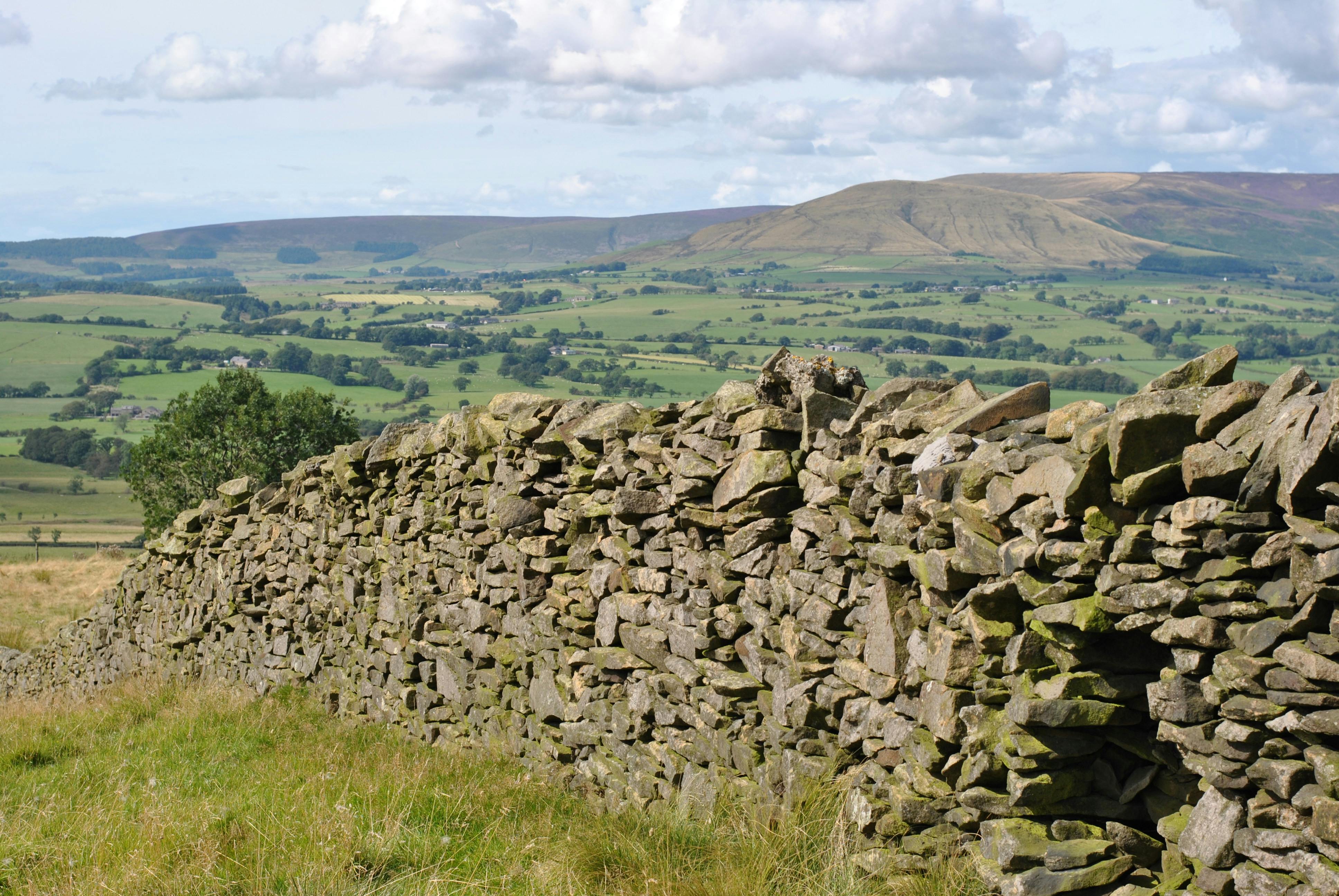 Stone Wall on Green Grass Field · Free Stock Photo