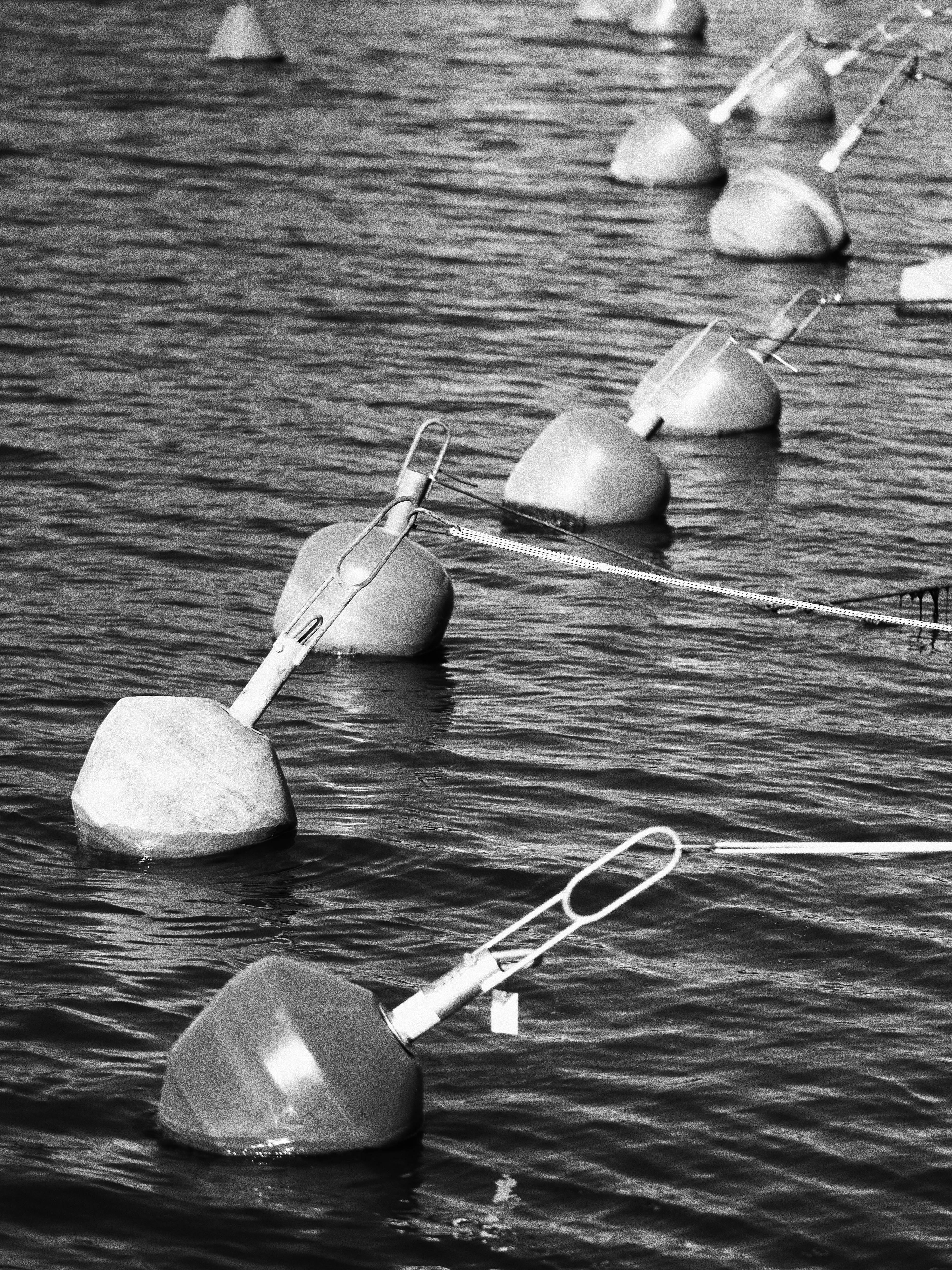 Buoys Floating on Water · Free Stock Photo