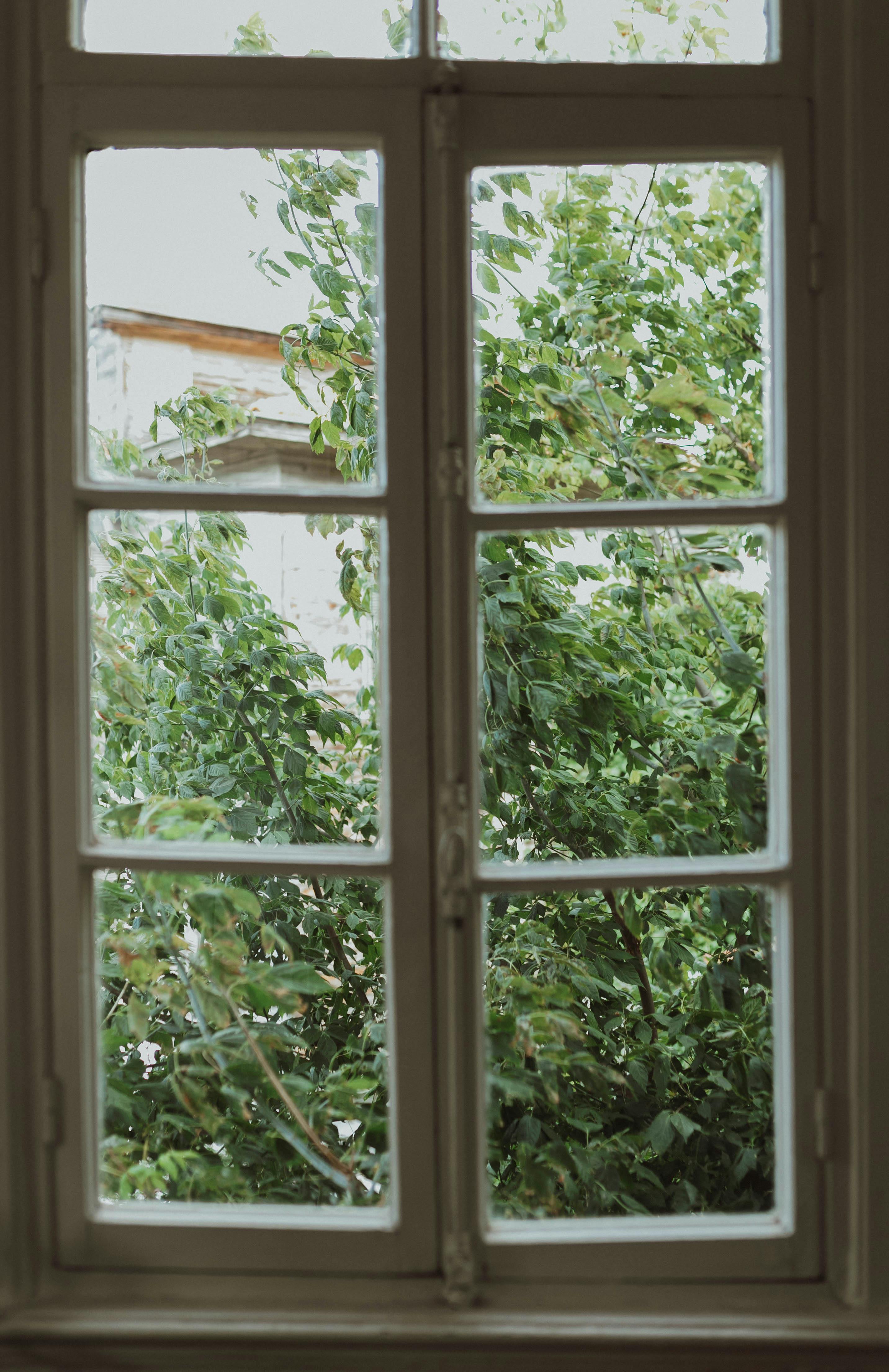 Unique Landscape Facing the Window · Free Stock Photo