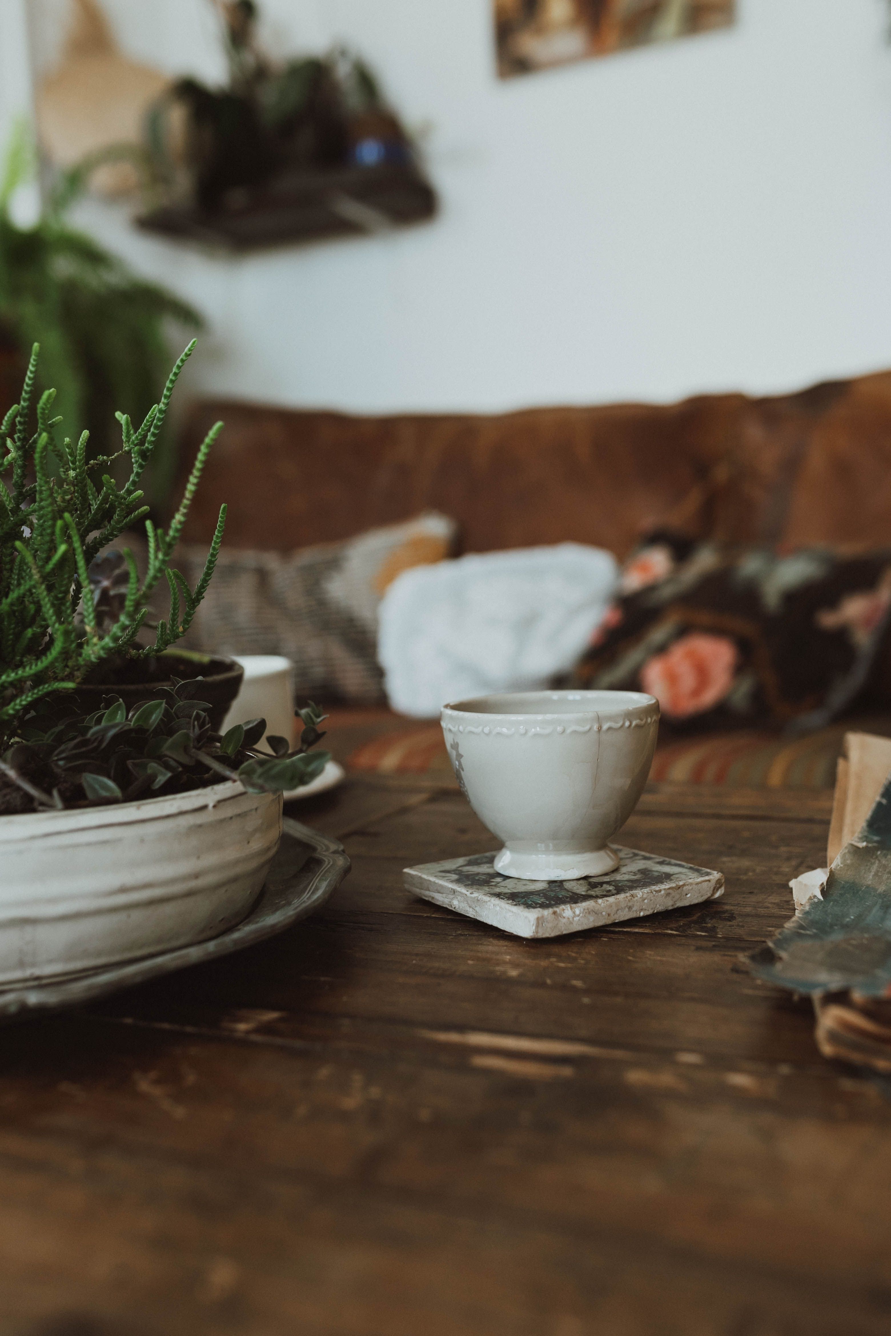 Café, Paz Y Algunas Hierbas · Foto de stock gratuita