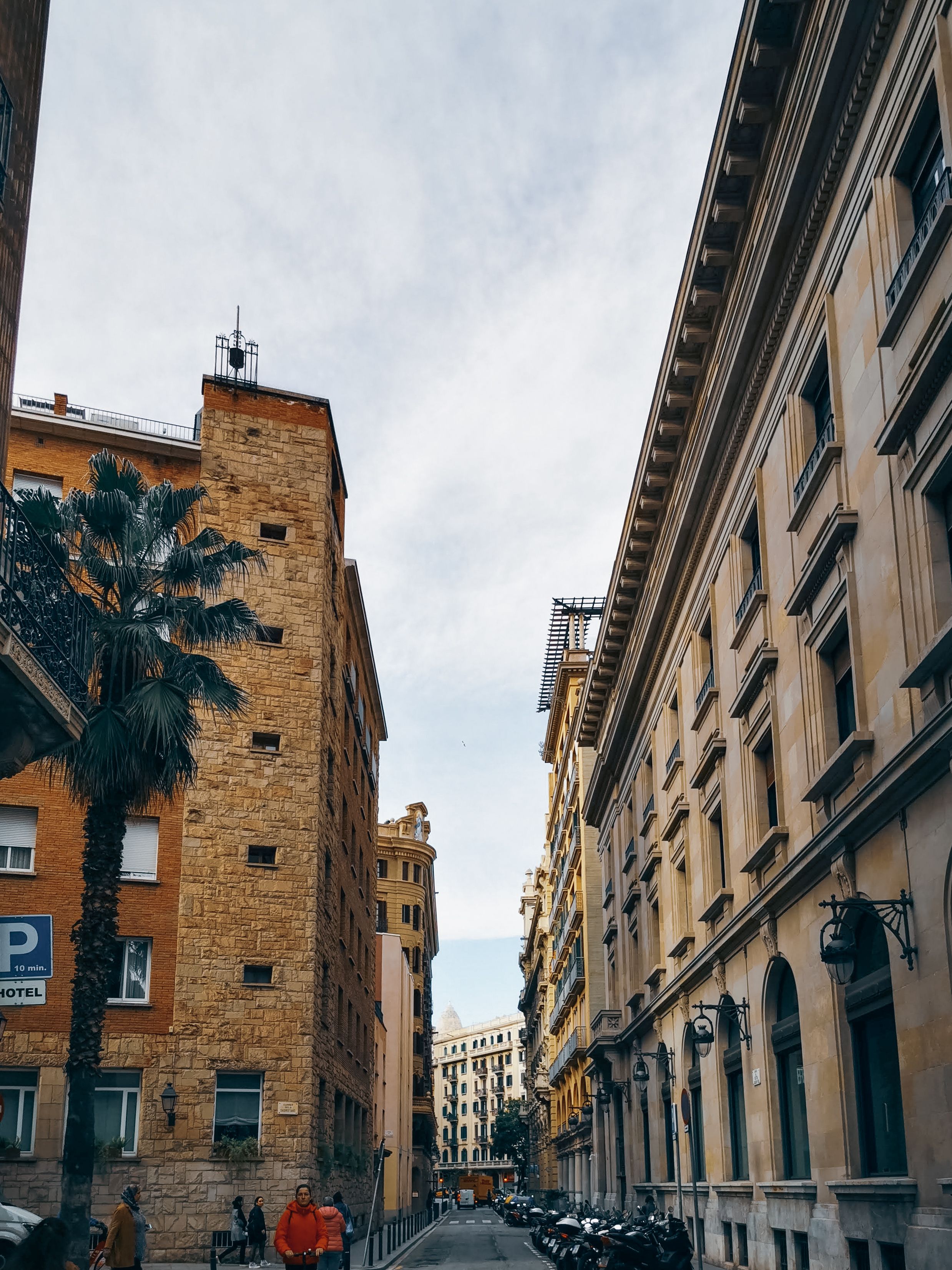 Palm Tree near Street · Free Stock Photo