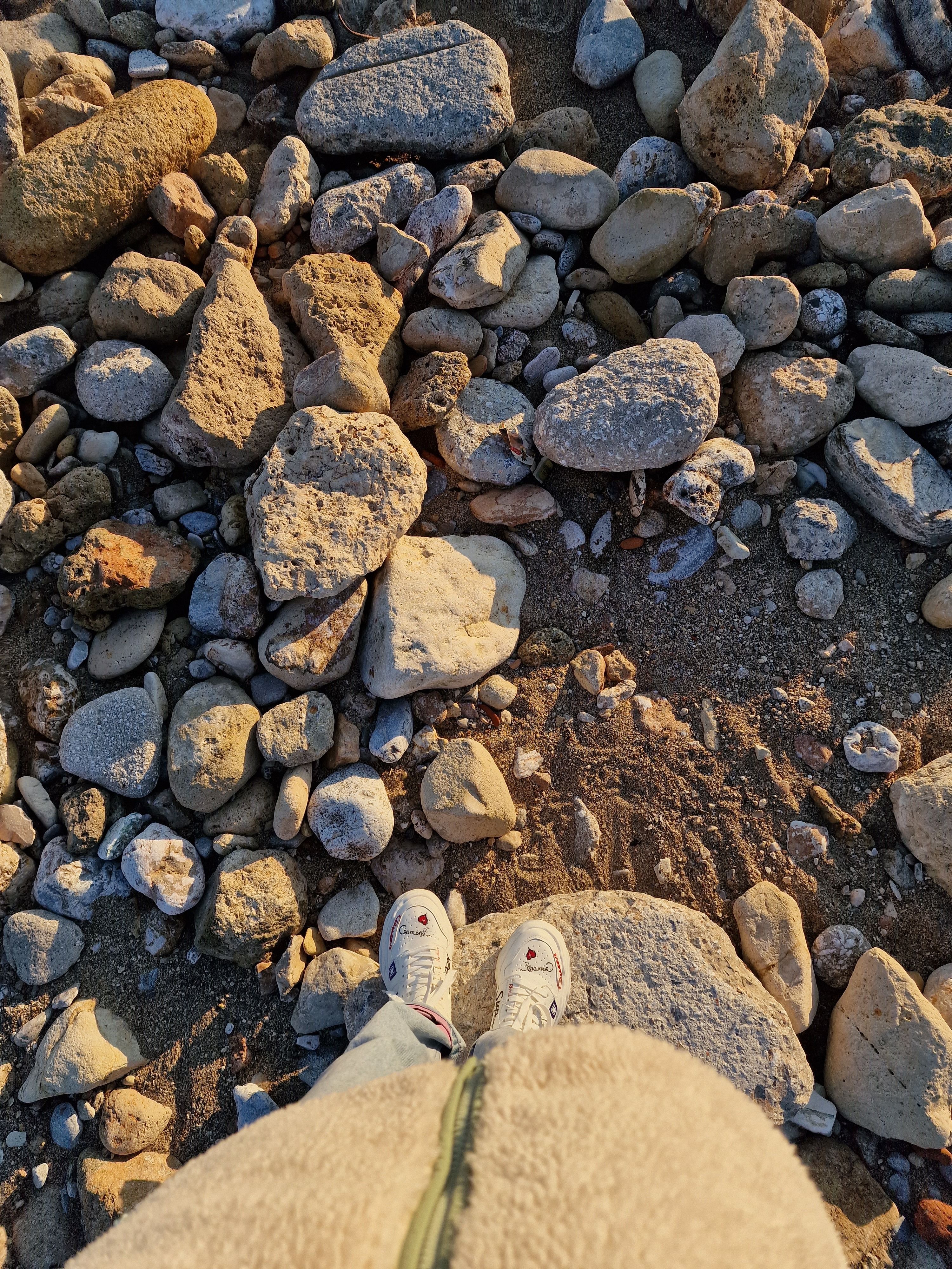Rocks on the Ground · Free Stock Photo