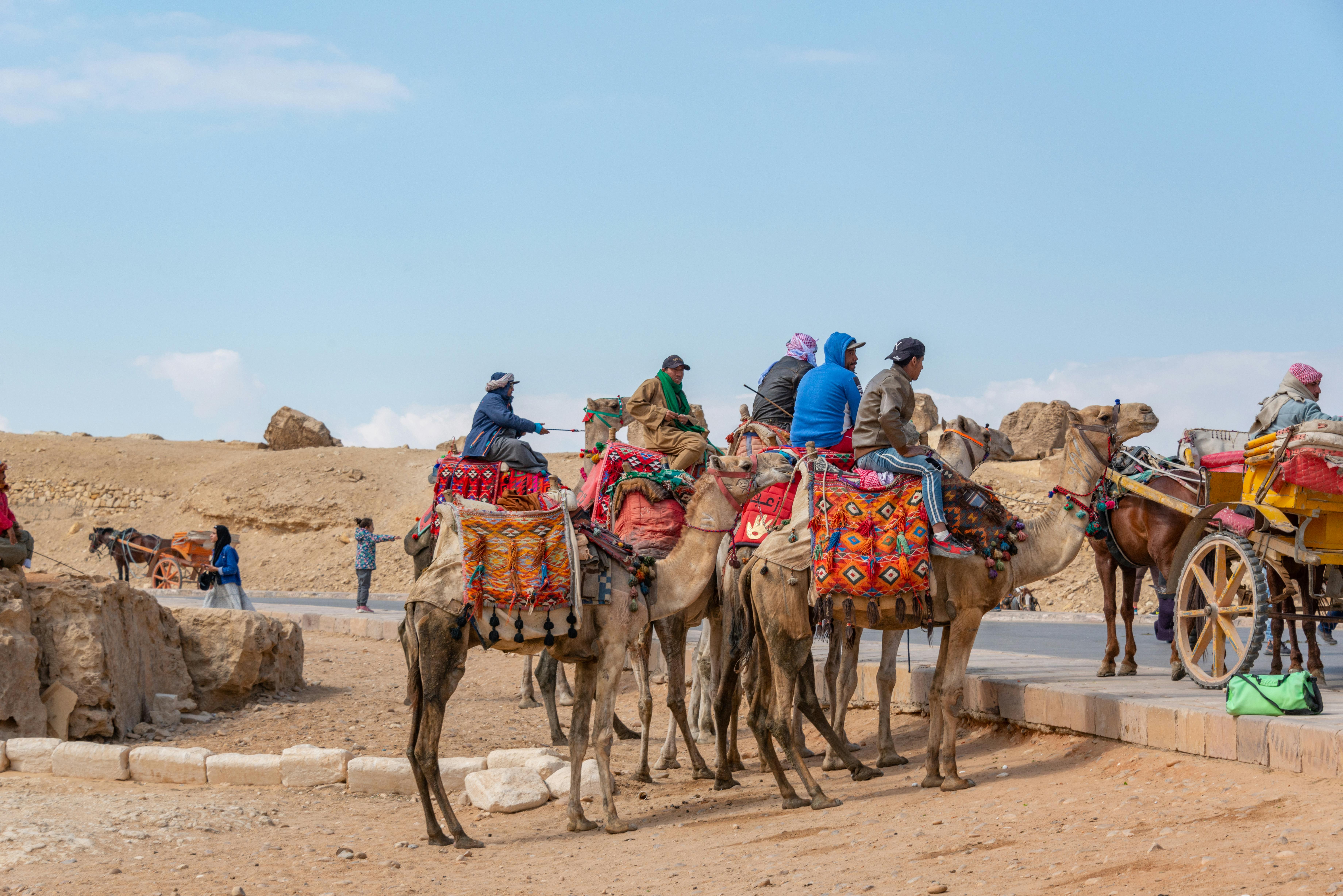 People on Camels near Road · Free Stock Photo