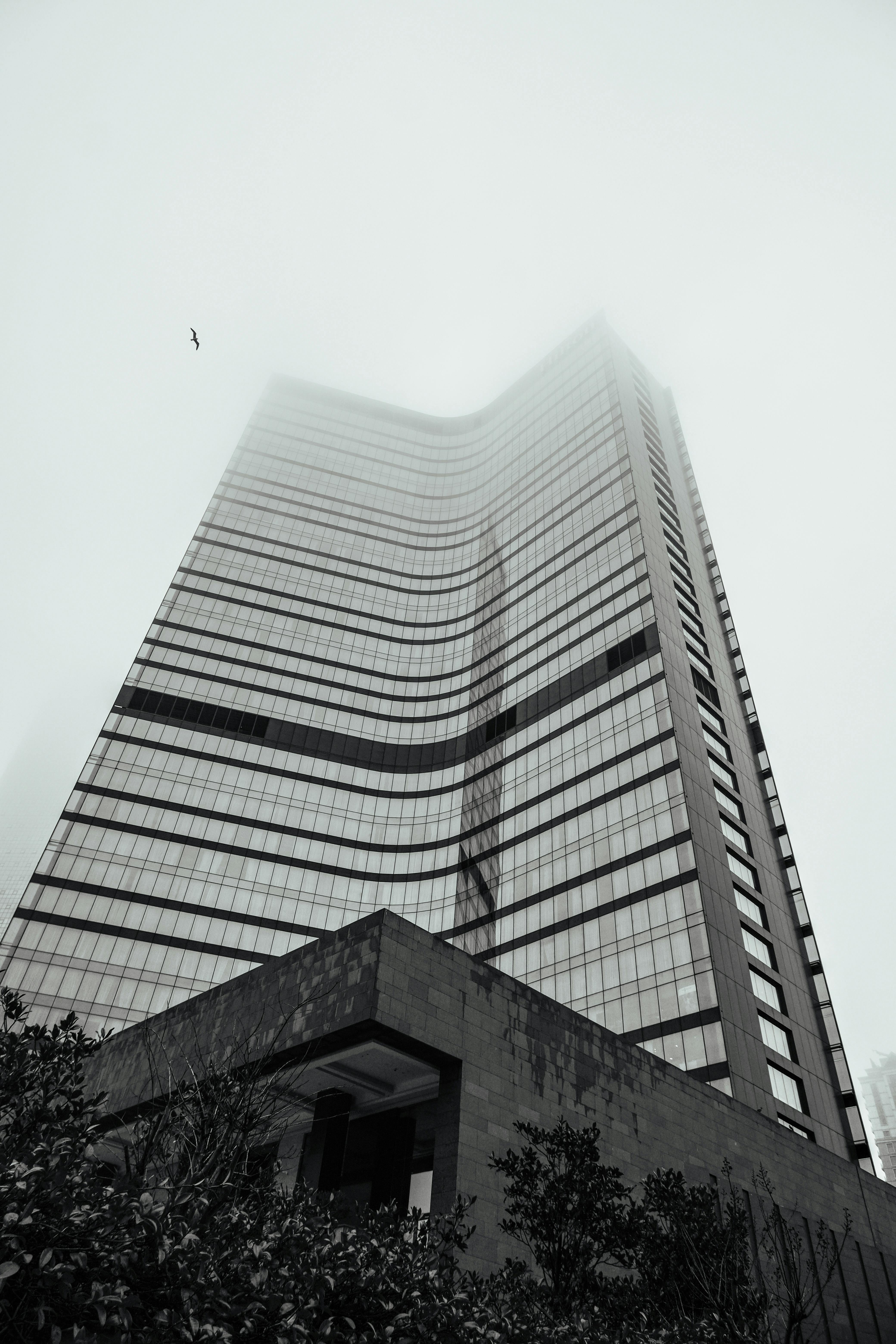 Hilton Hotel and Conference Center under fog Fog in Istanbul · Free ...