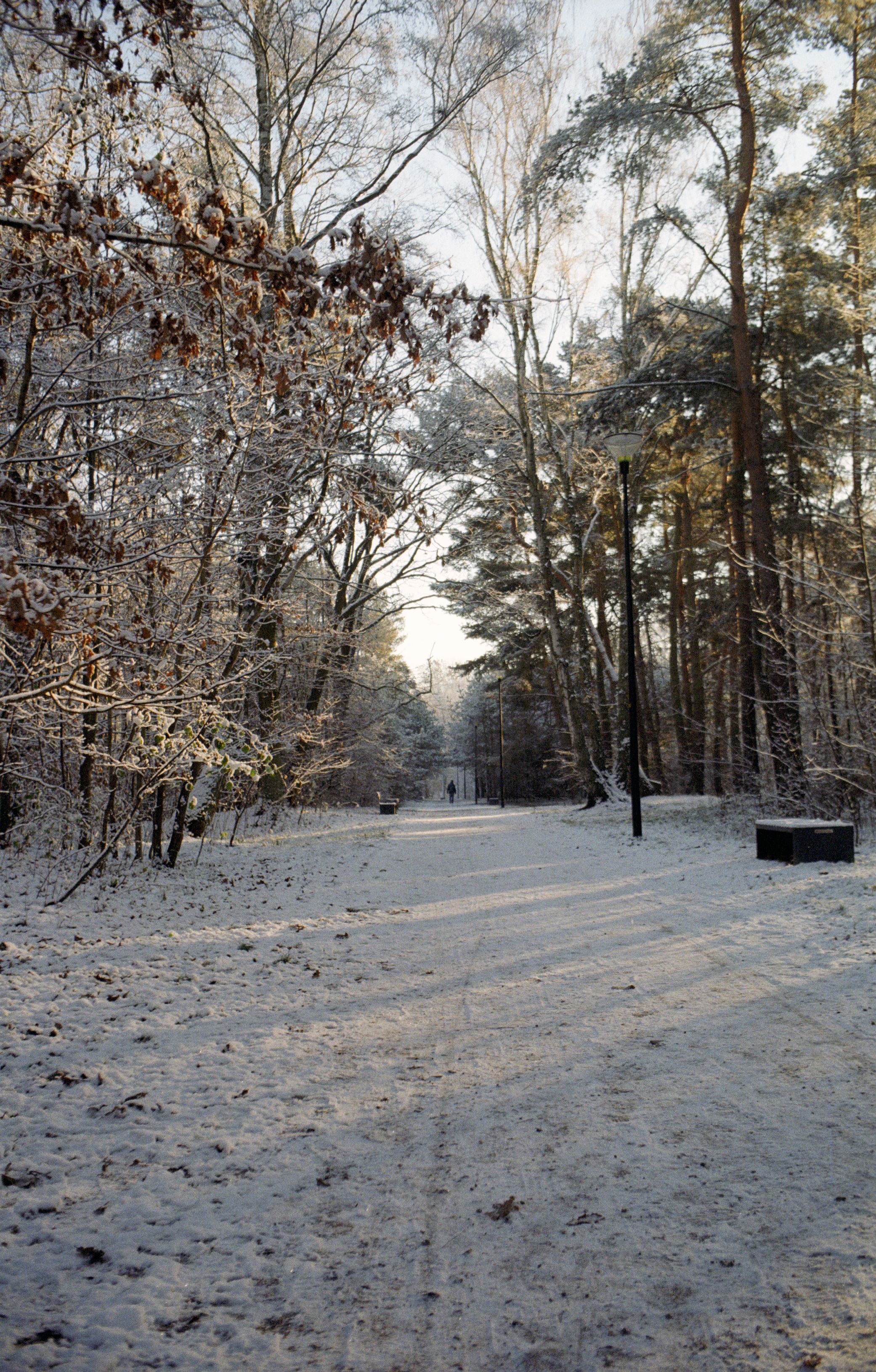 Choosing The Right Path Photos, Download The BEST Free Choosing The ...