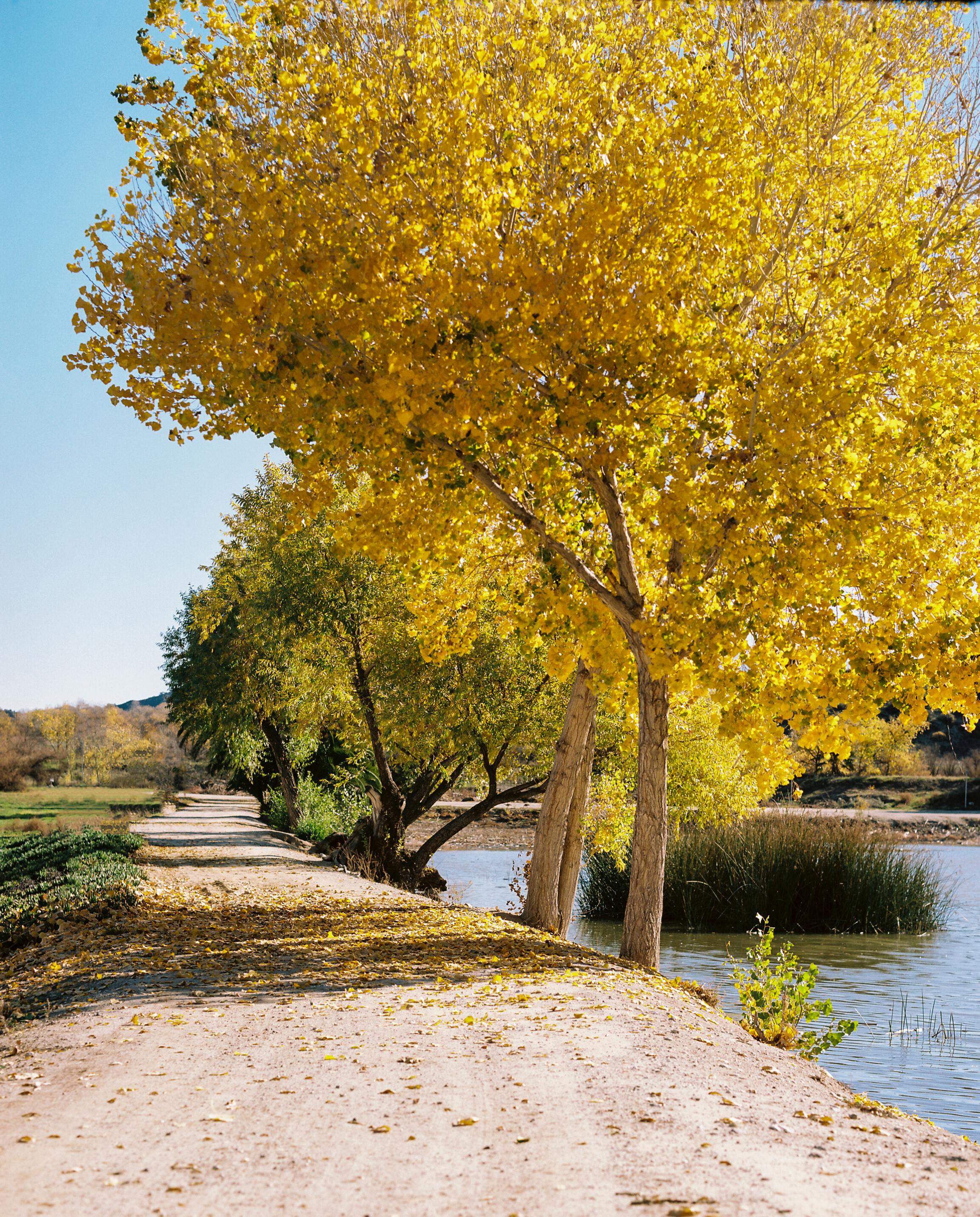 Choosing The Right Path Photos, Download The BEST Free Choosing The ...