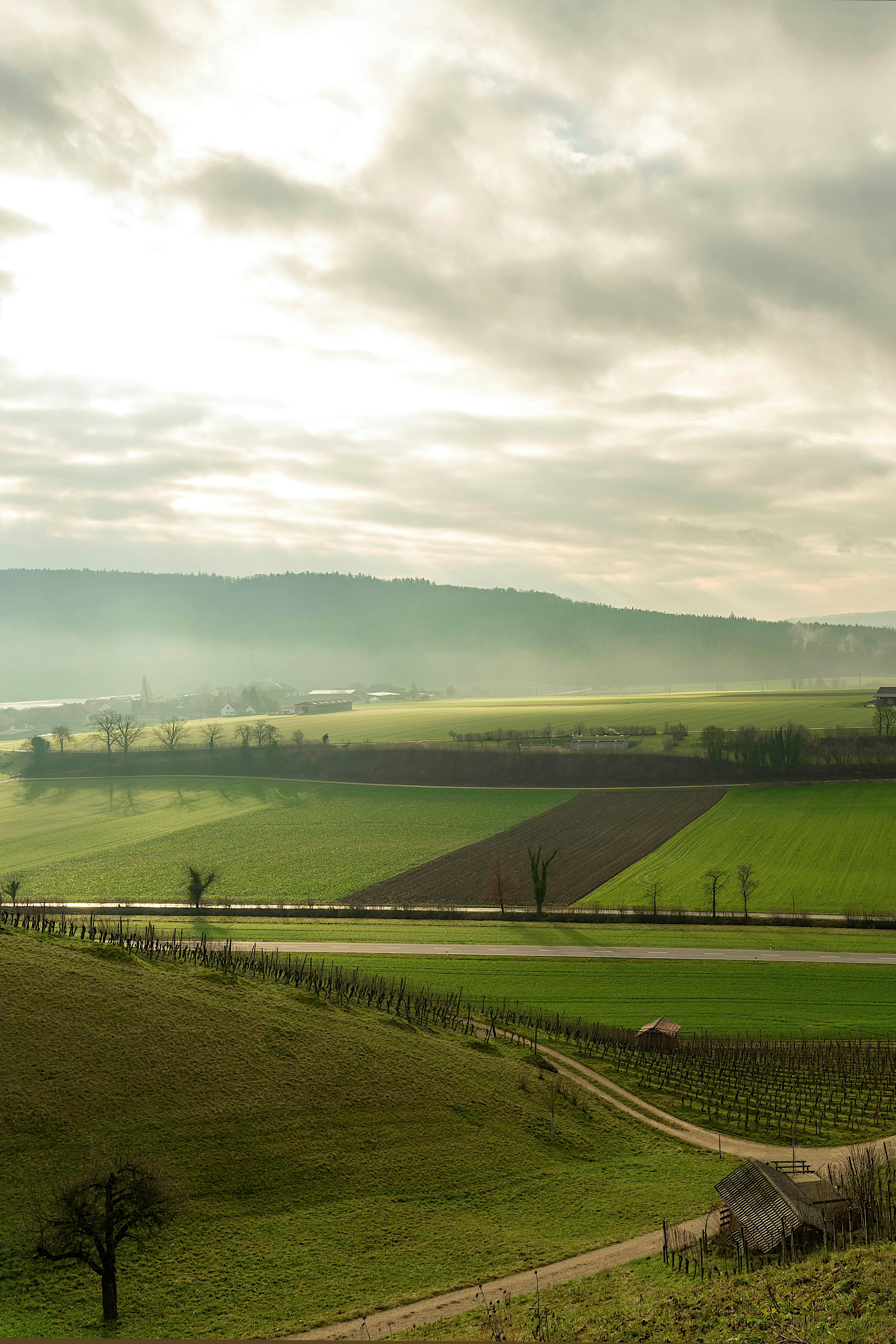 Foto profissional gratuita de agricultura, agricultura orgânica, amigo ...