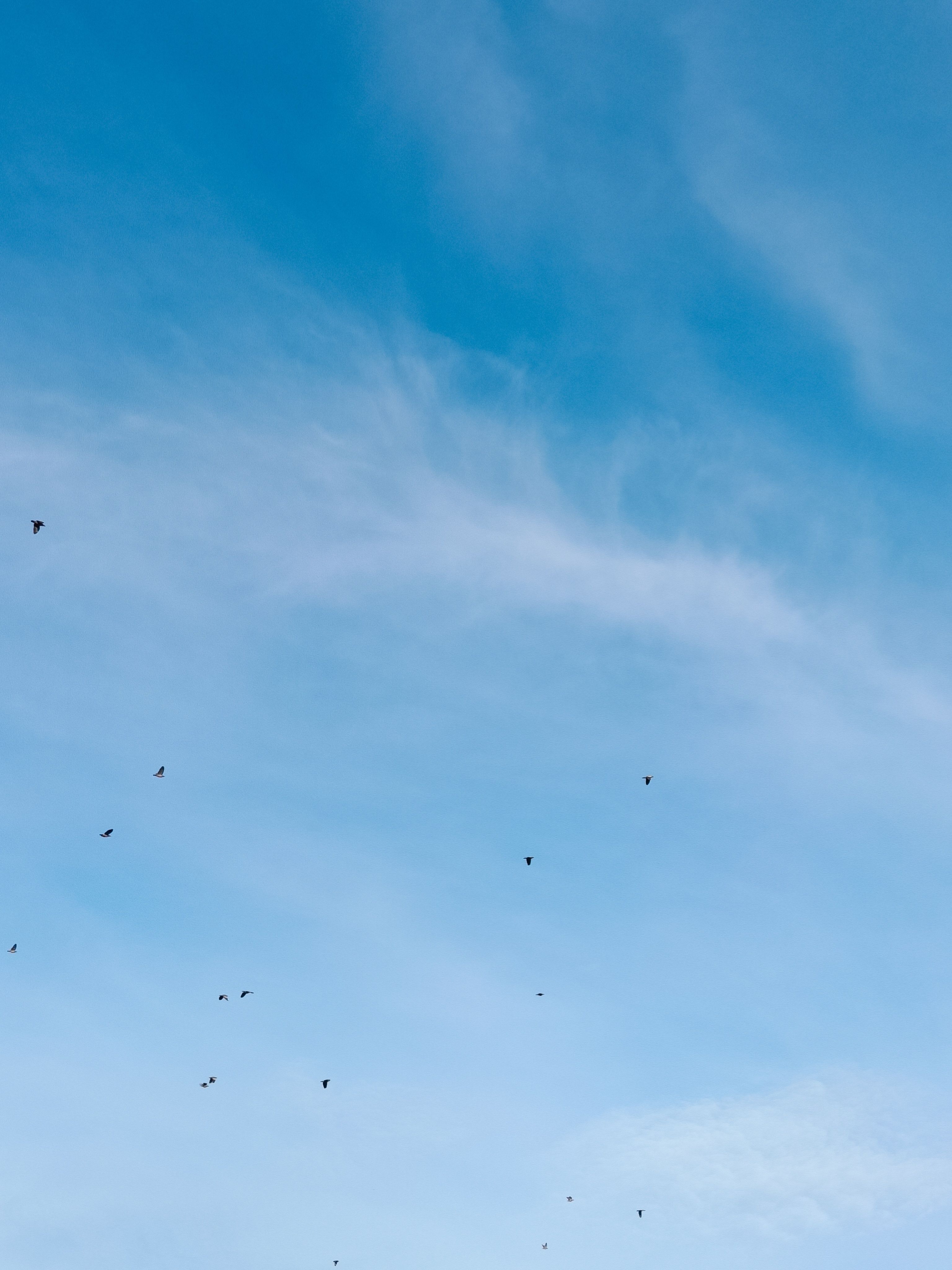 Foto profissional gratuita de 4k, céu, céu azul, céu nublado, nublado ...