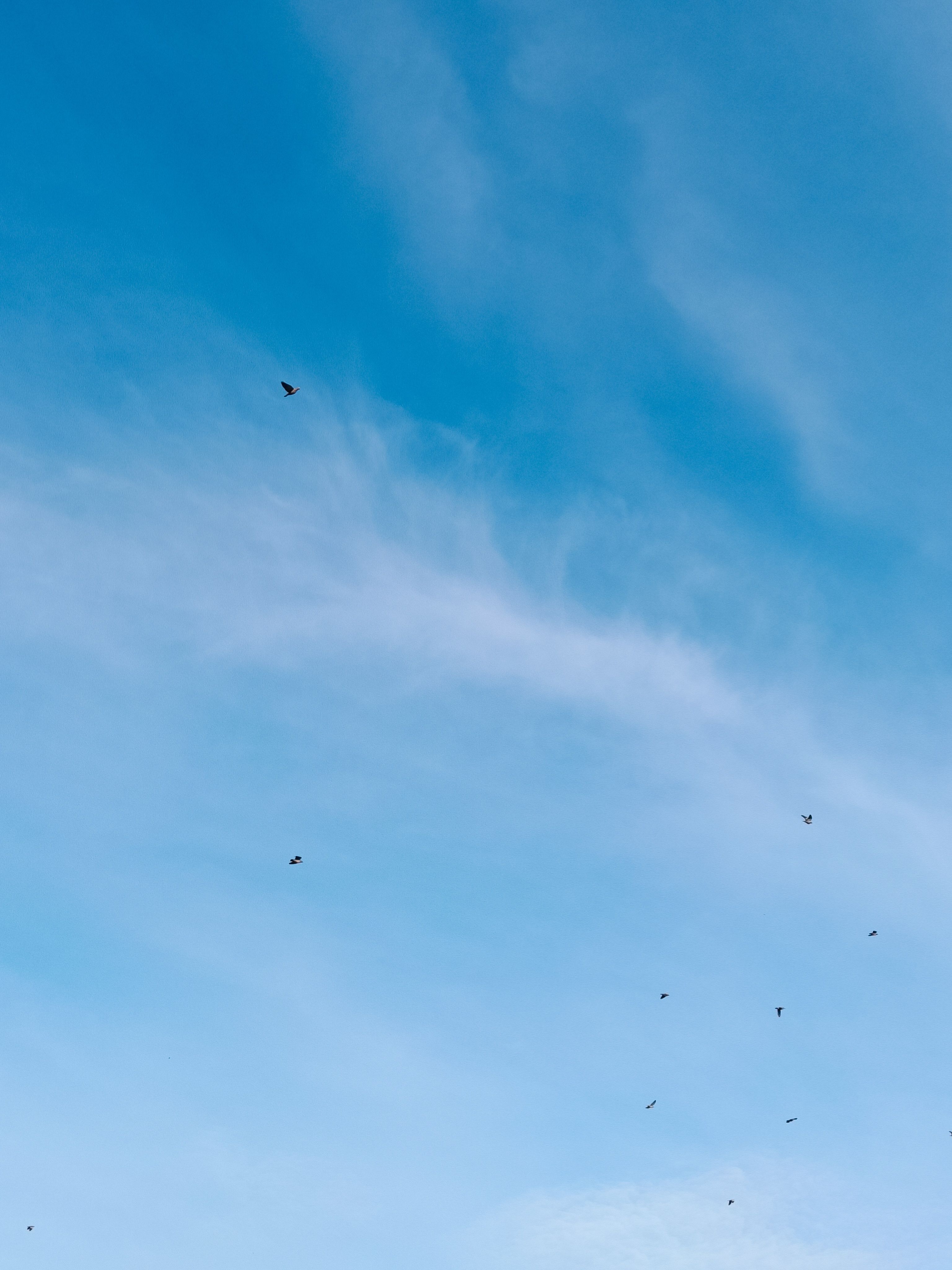 200.862+ Fotos y Imágenes de Cielo azul 4k Gratis · Banco de Fotos Gratis