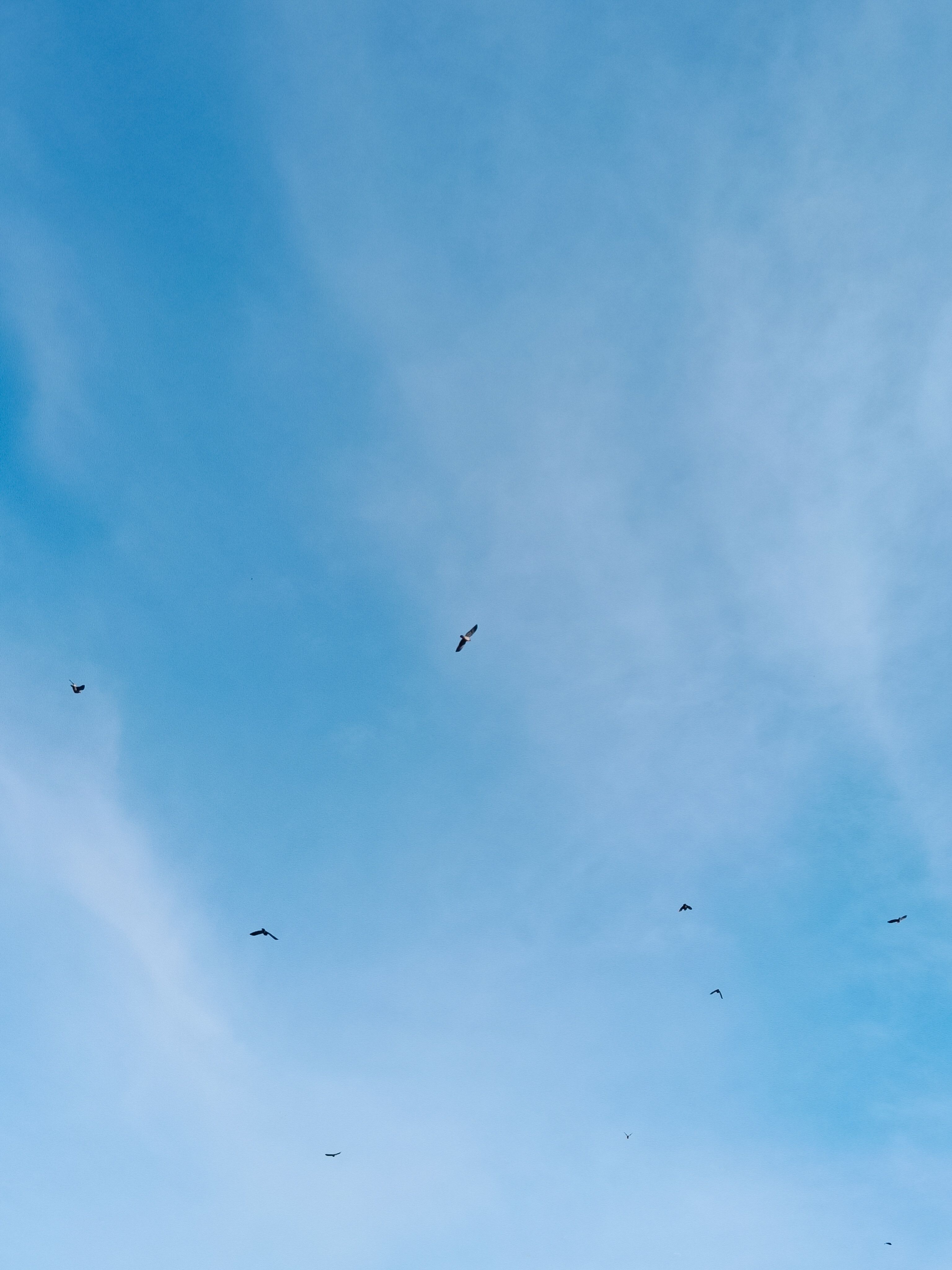 Sky 4k Photos, Download The BEST Free Sky 4k Stock Photos & HD Images