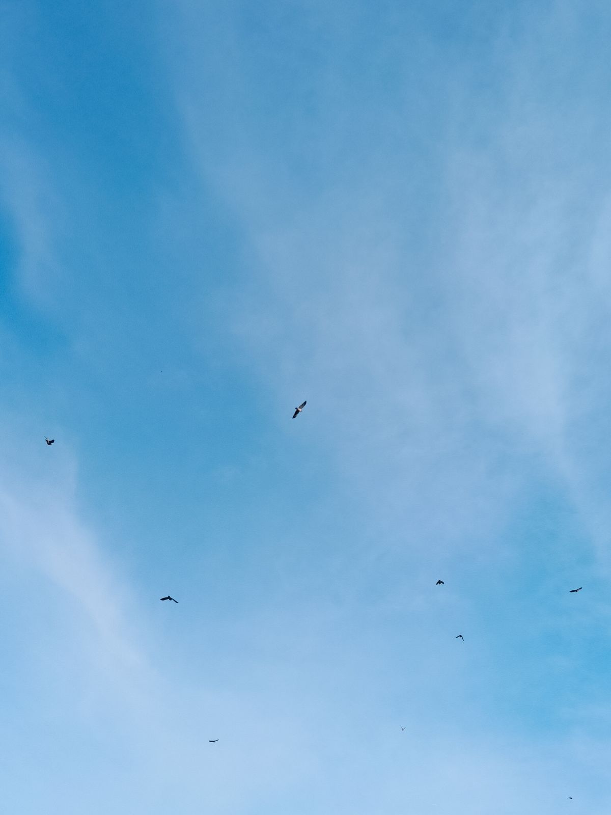 Clear Sky 4k Photos, Download The BEST Free Clear Sky 4k Stock Photos ...