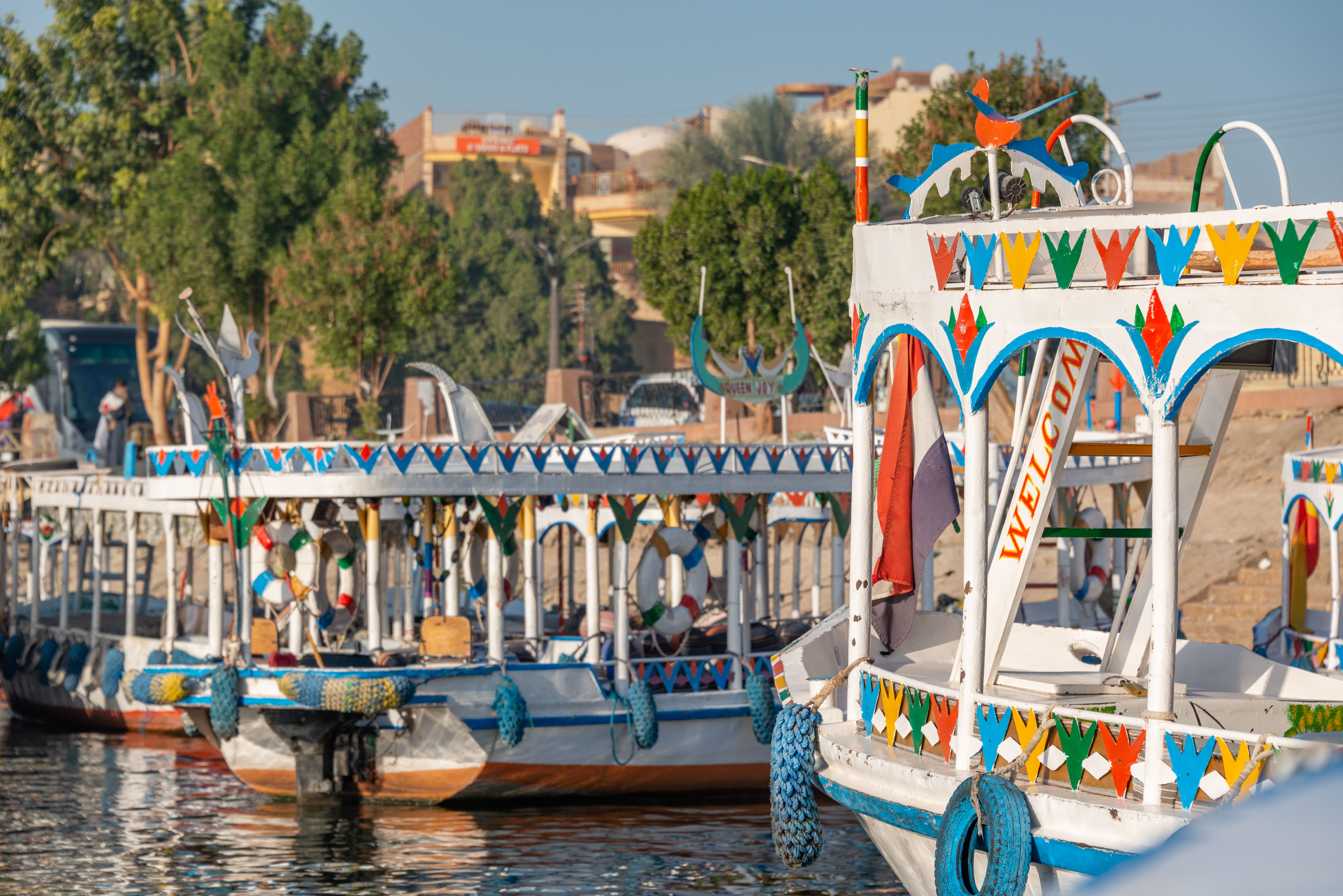 Tour Boats in Harbor · Free Stock Photo