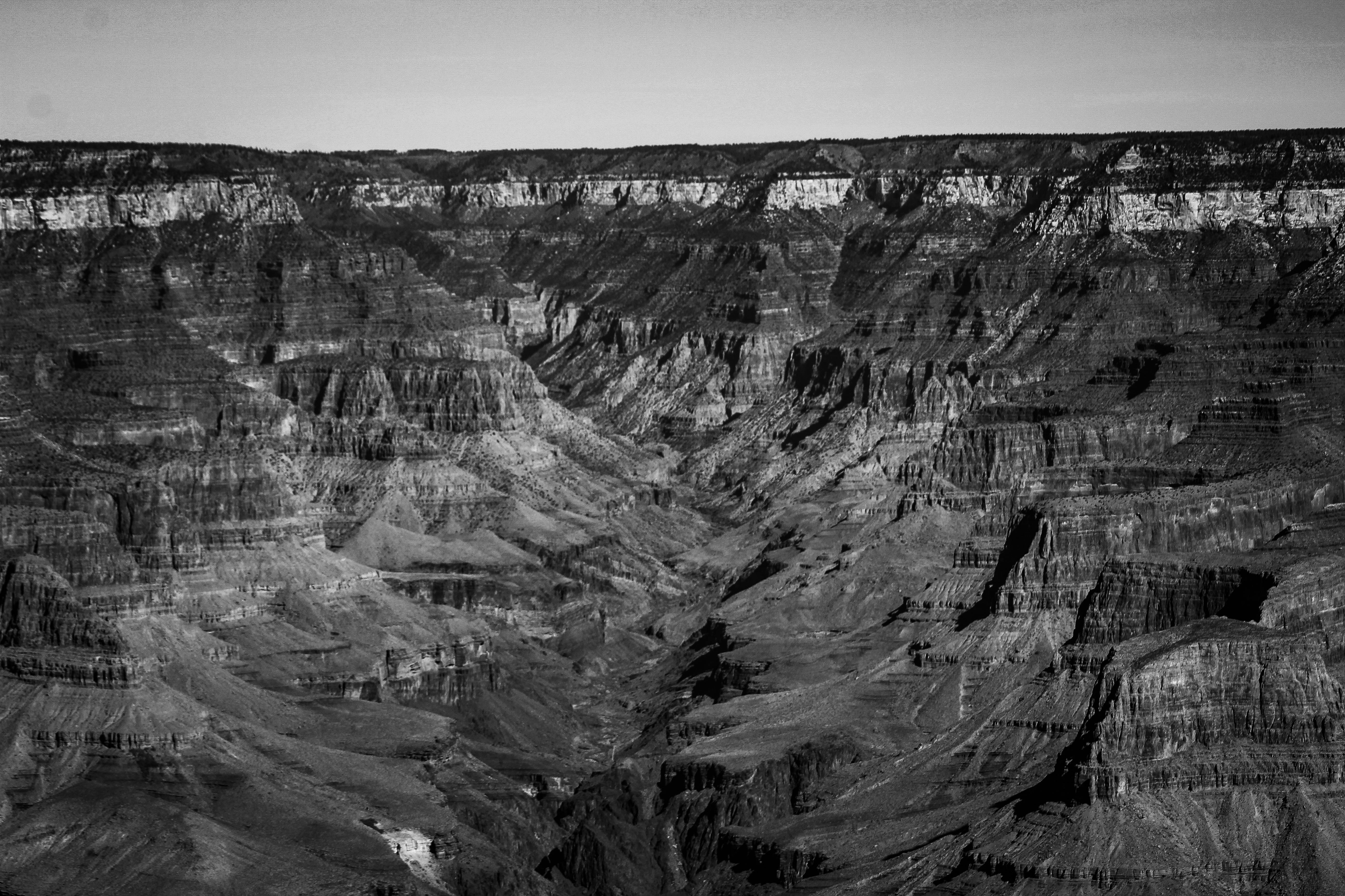 Grayscale Photo of the Grand Canyon · Free Stock Photo