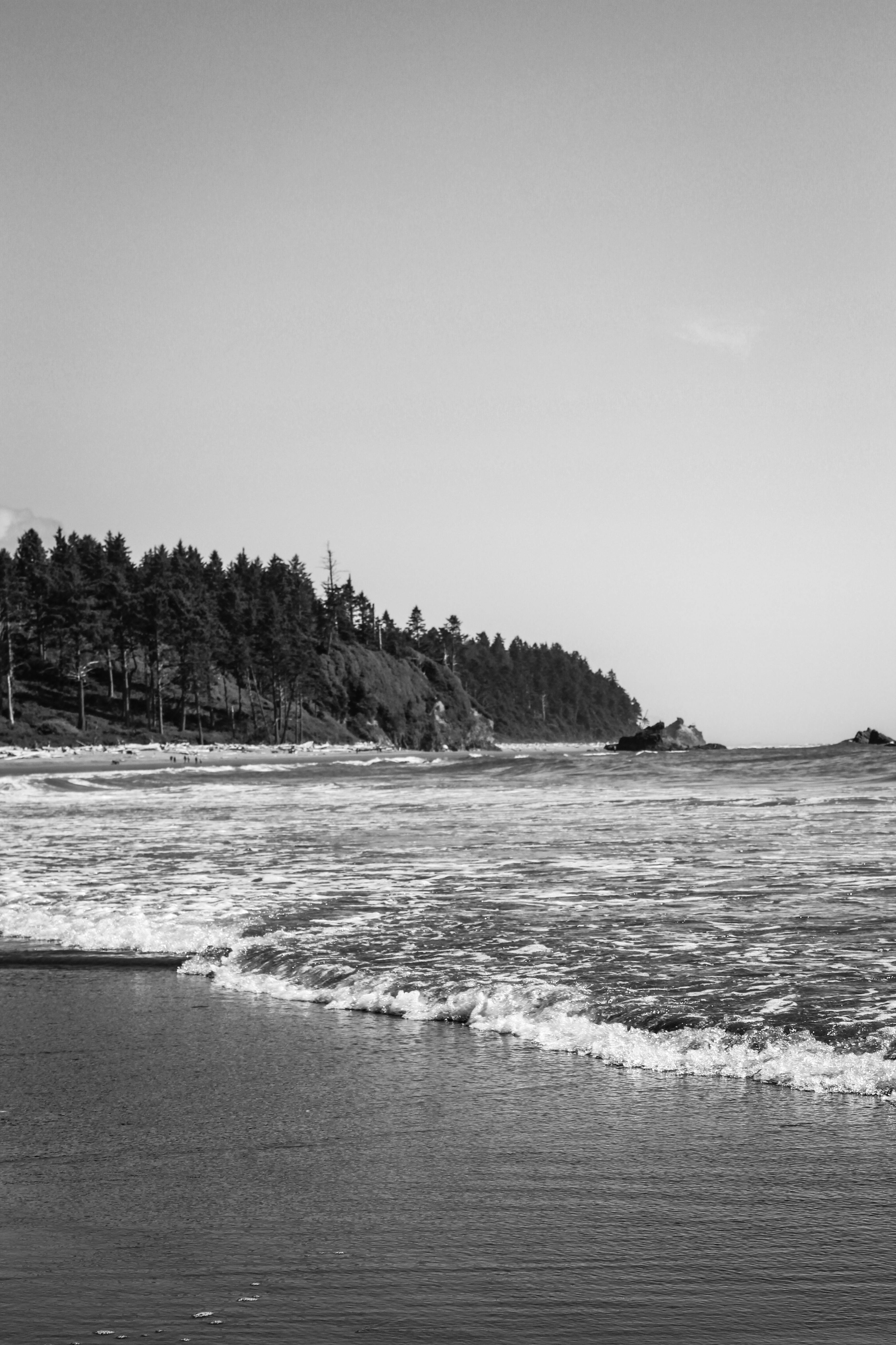 Sea Wave Stroking Beach · Free Stock Photo