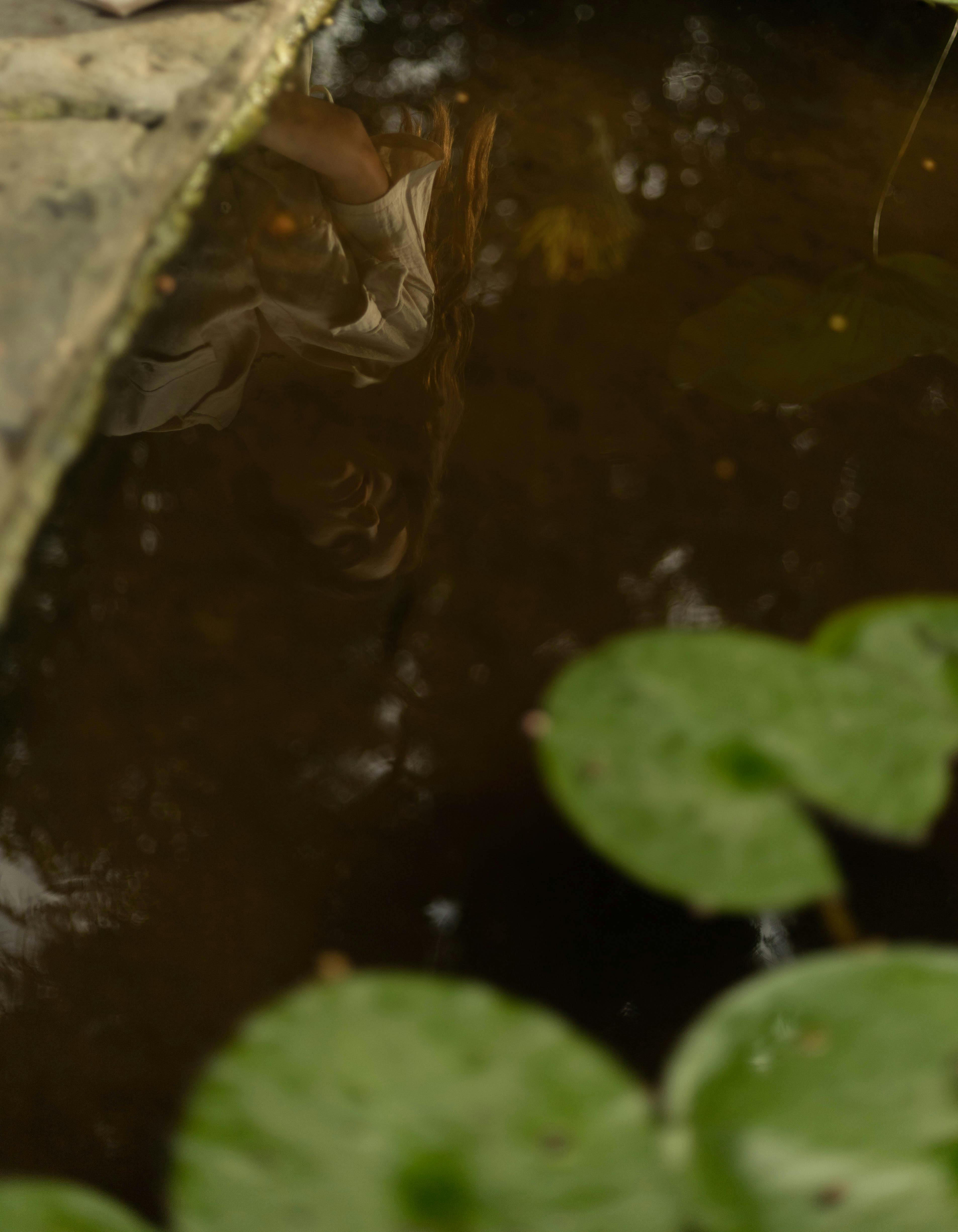 Reflection of Woman in Pond · Free Stock Photo