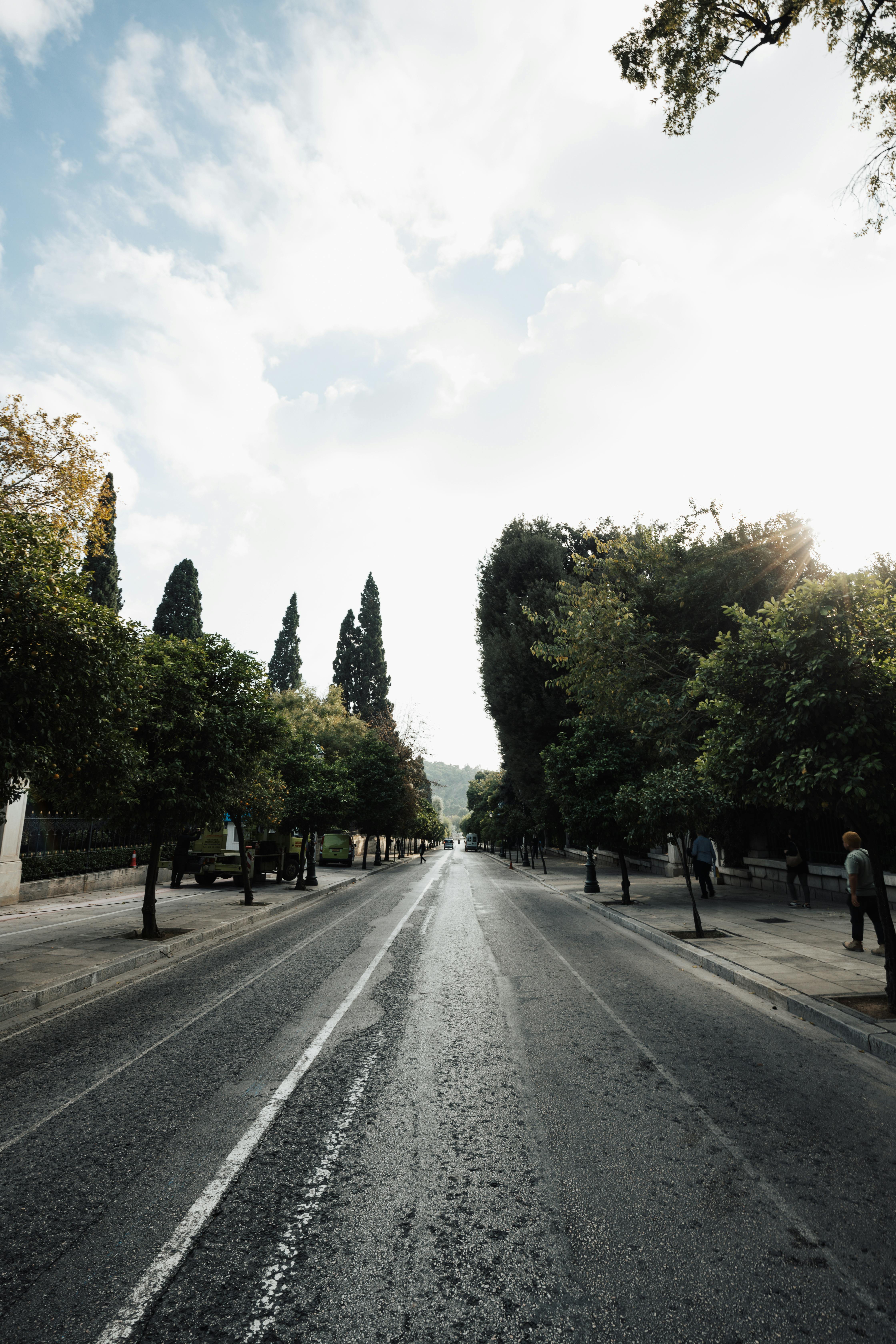 Peaceful Tree-Lined Urban Street in Daylight · Free Stock Photo