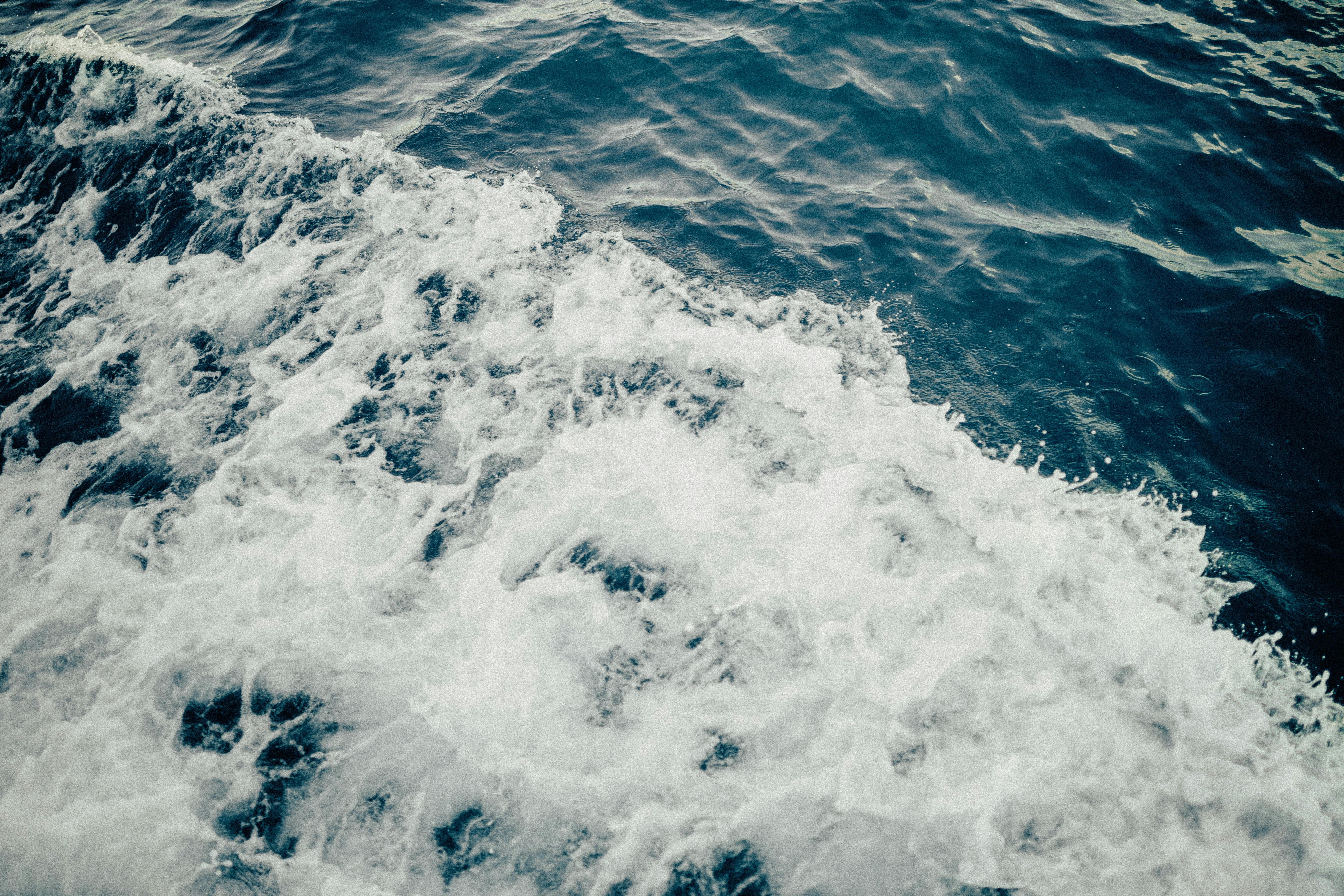 Ris Sortiment Photos, Download The BEST Free Ris Sortiment Stock Photos ...