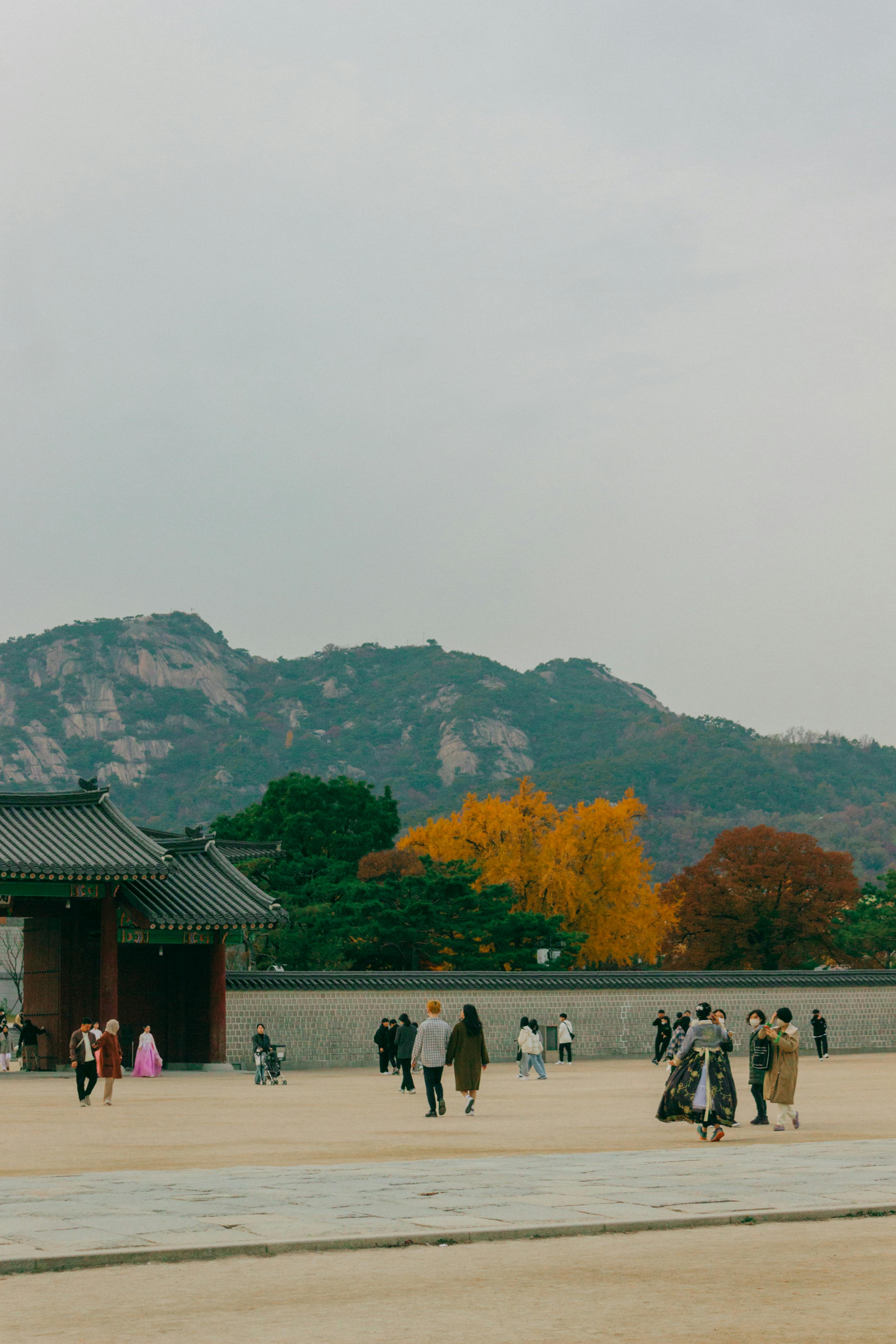 Seoul Beach Photos, Download The BEST Free Seoul Beach Stock Photos ...