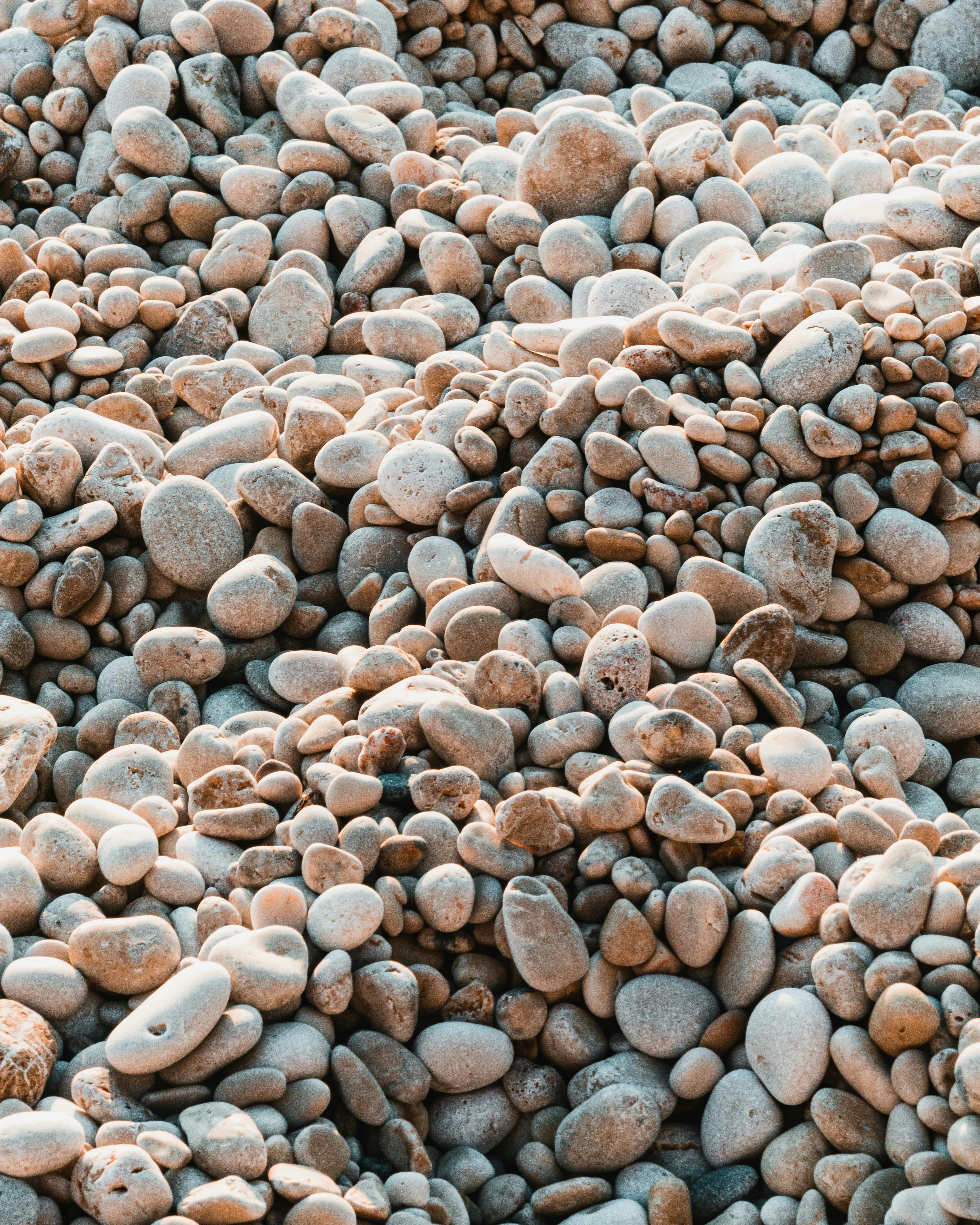 Pebbles on Ground · Free Stock Photo