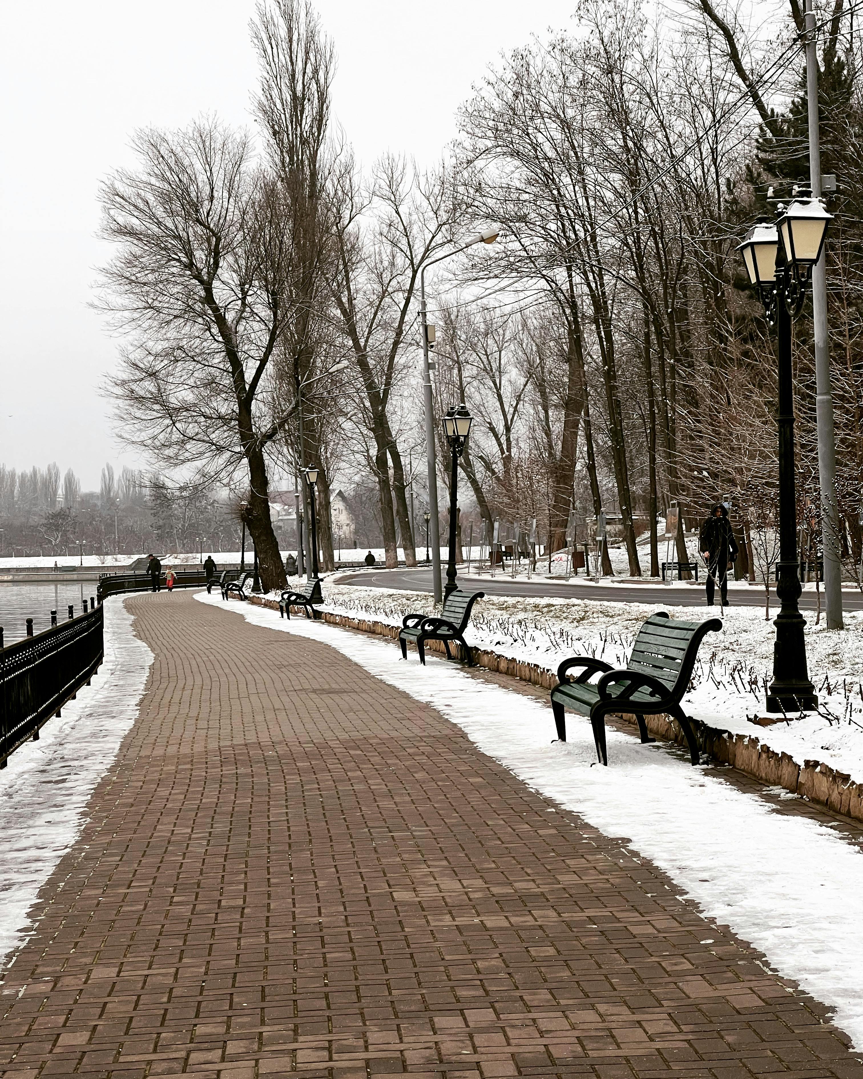 Empty Promenade in Winter · Free Stock Photo