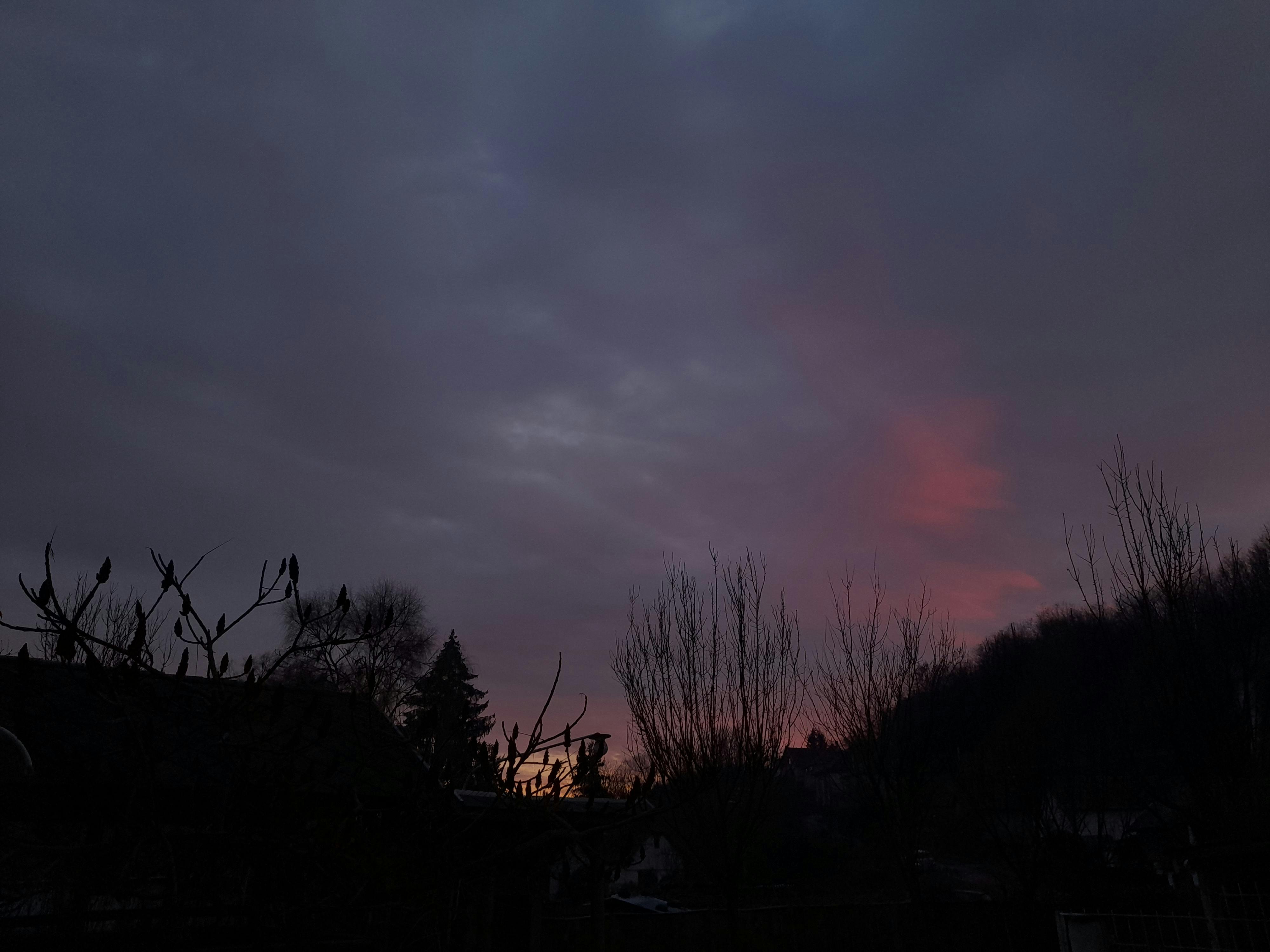 Molnár Alex – Fotografie