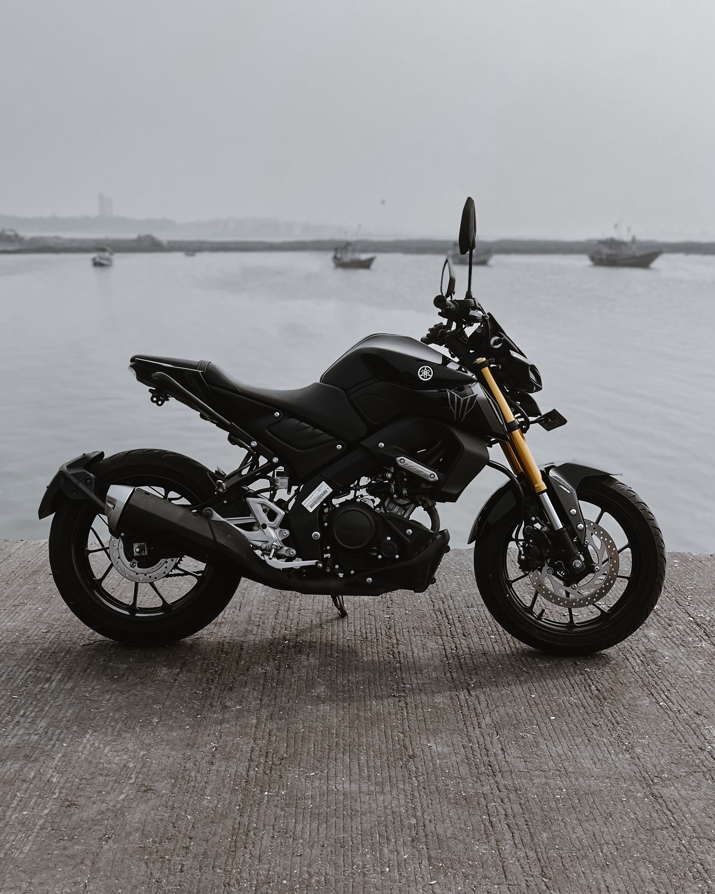 Back View of TVS Apache RR 310 · Free Stock Photo