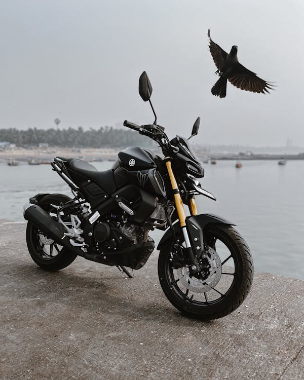 Yamaha Mt 15 Bike Photos, Download The BEST Free Yamaha Mt 15 Bike ...