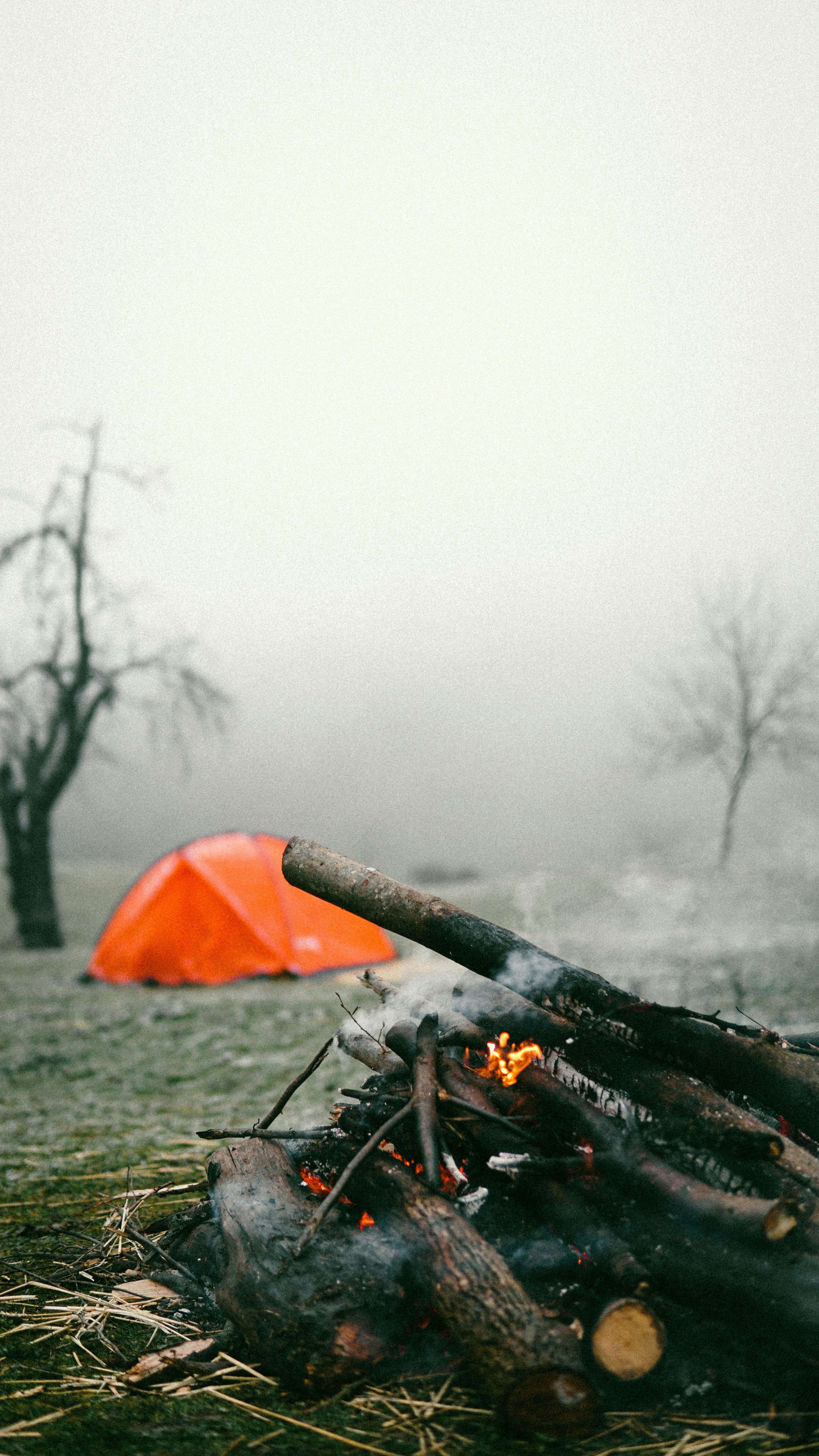 Free stock photo of adventure, atmospheric, backcountry, bare trees ...