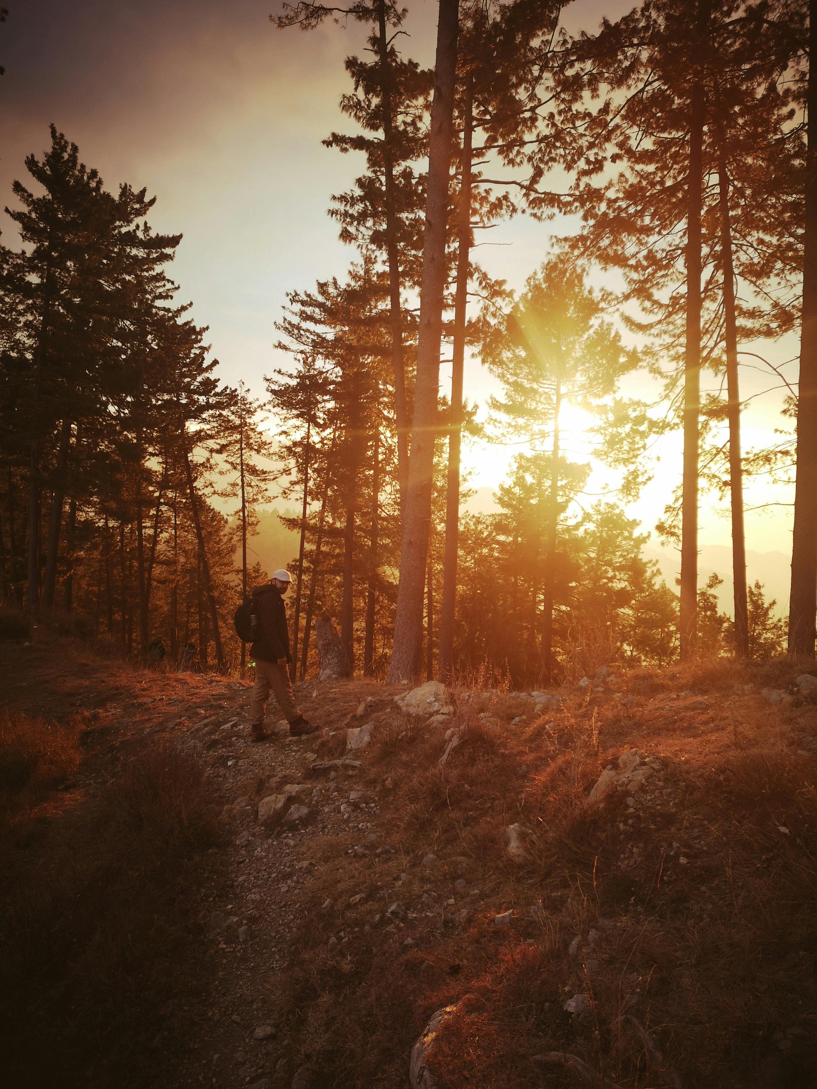 Healing Scenery Photos, Download The BEST Free Healing Scenery Stock ...