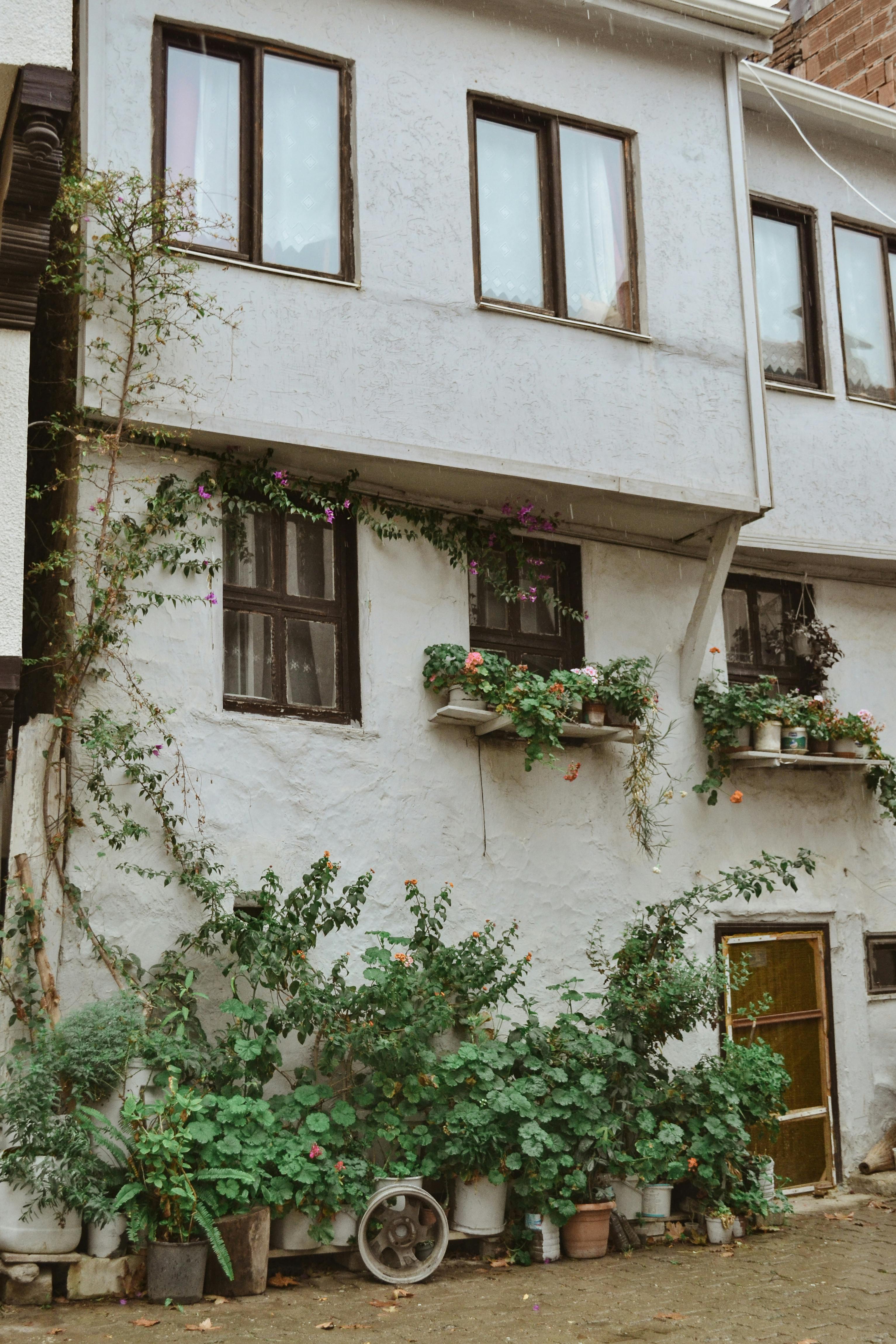 Nuture Photos, Download The BEST Free Nuture Stock Photos & HD Images