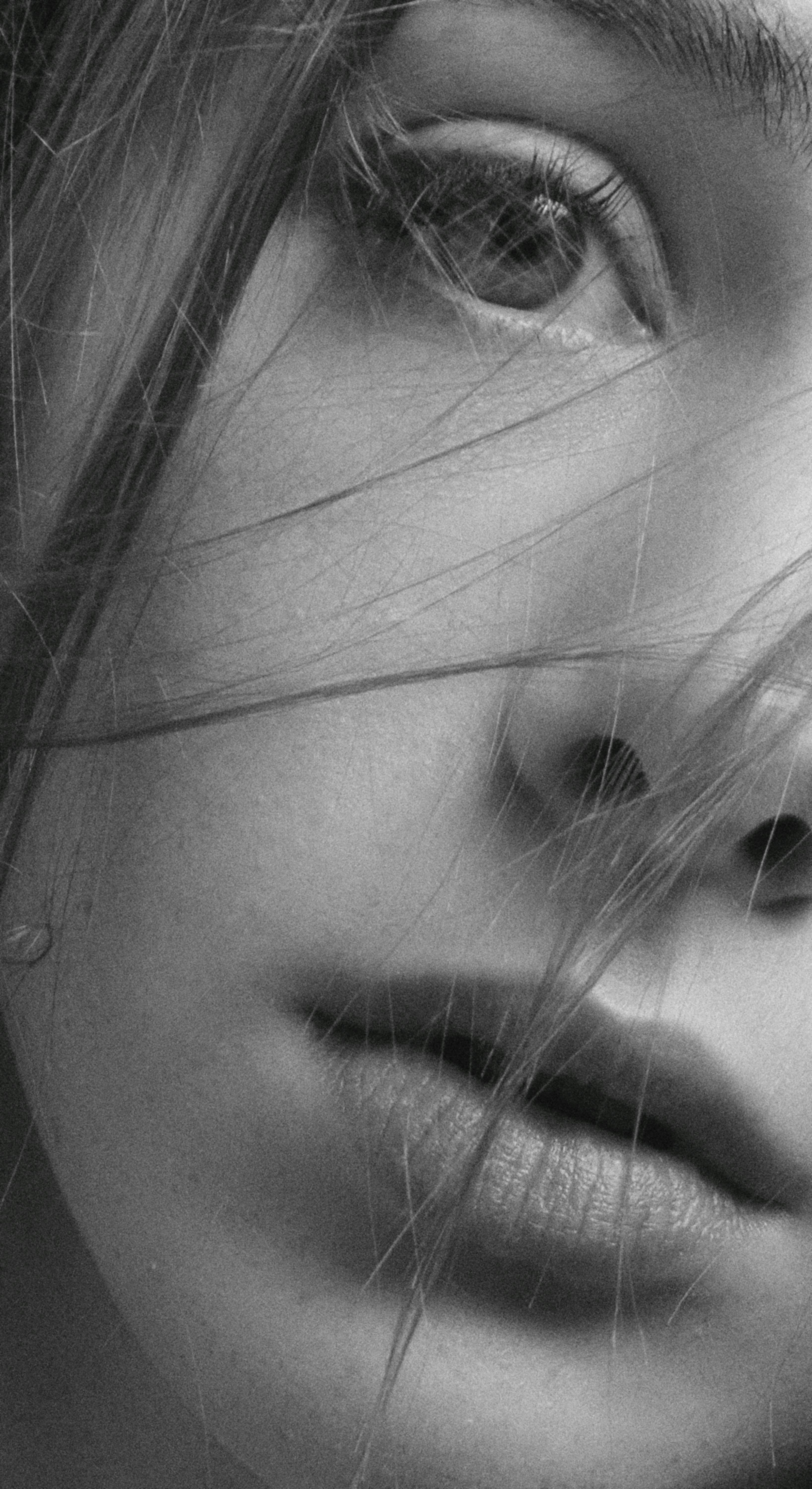 Grayscale Photo of Persons Hand · Free Stock Photo