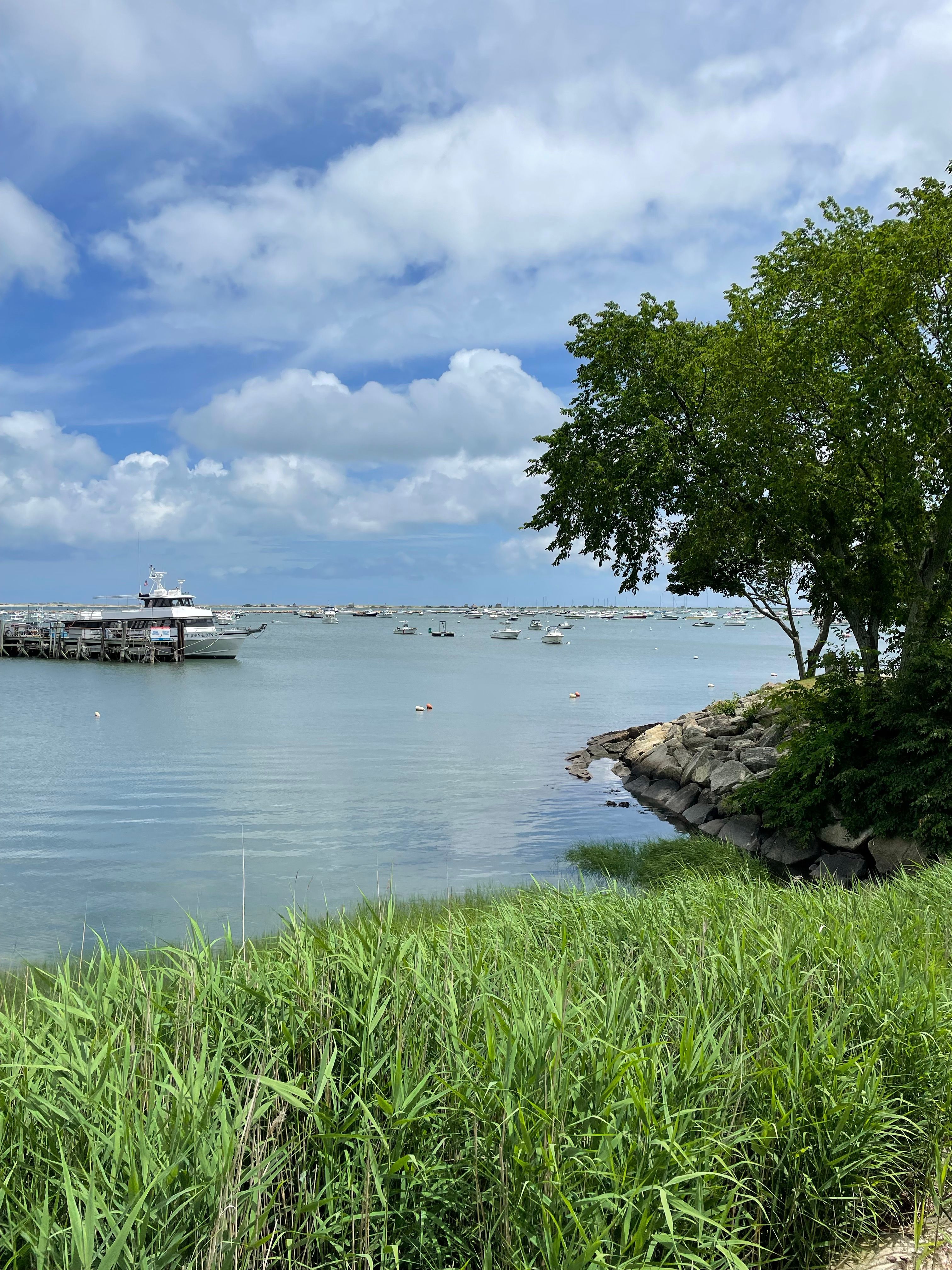A view of the water and a boat dock · Free Stock Photo