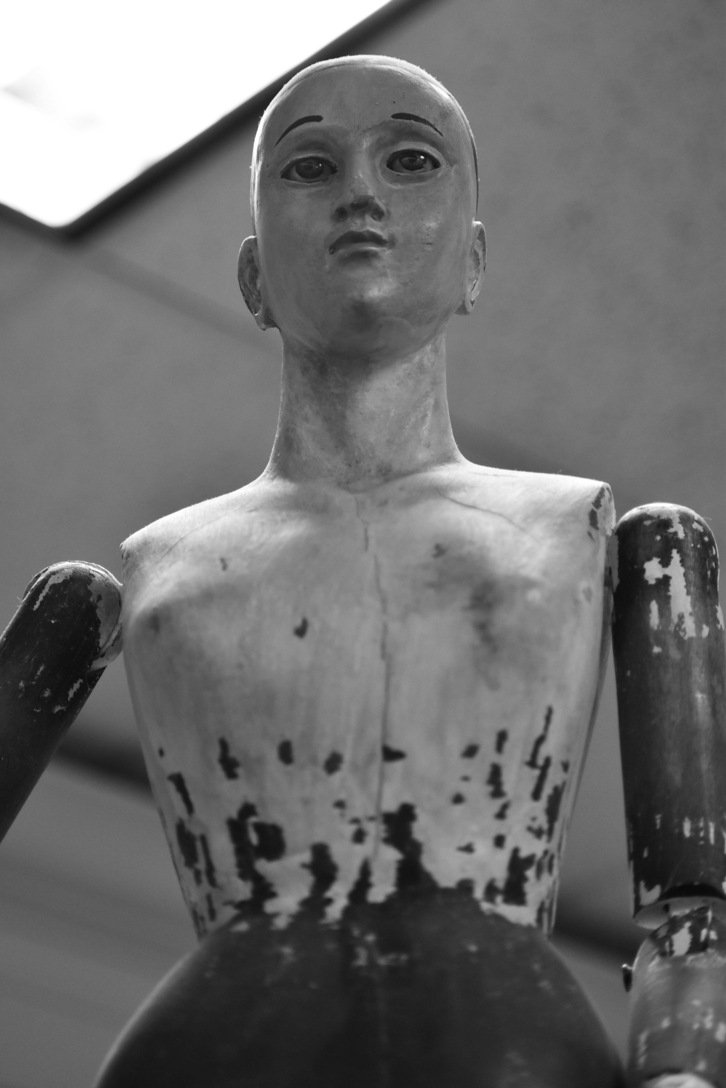 Spinning Figure Photos, Download The BEST Free Spinning Figure Stock ...