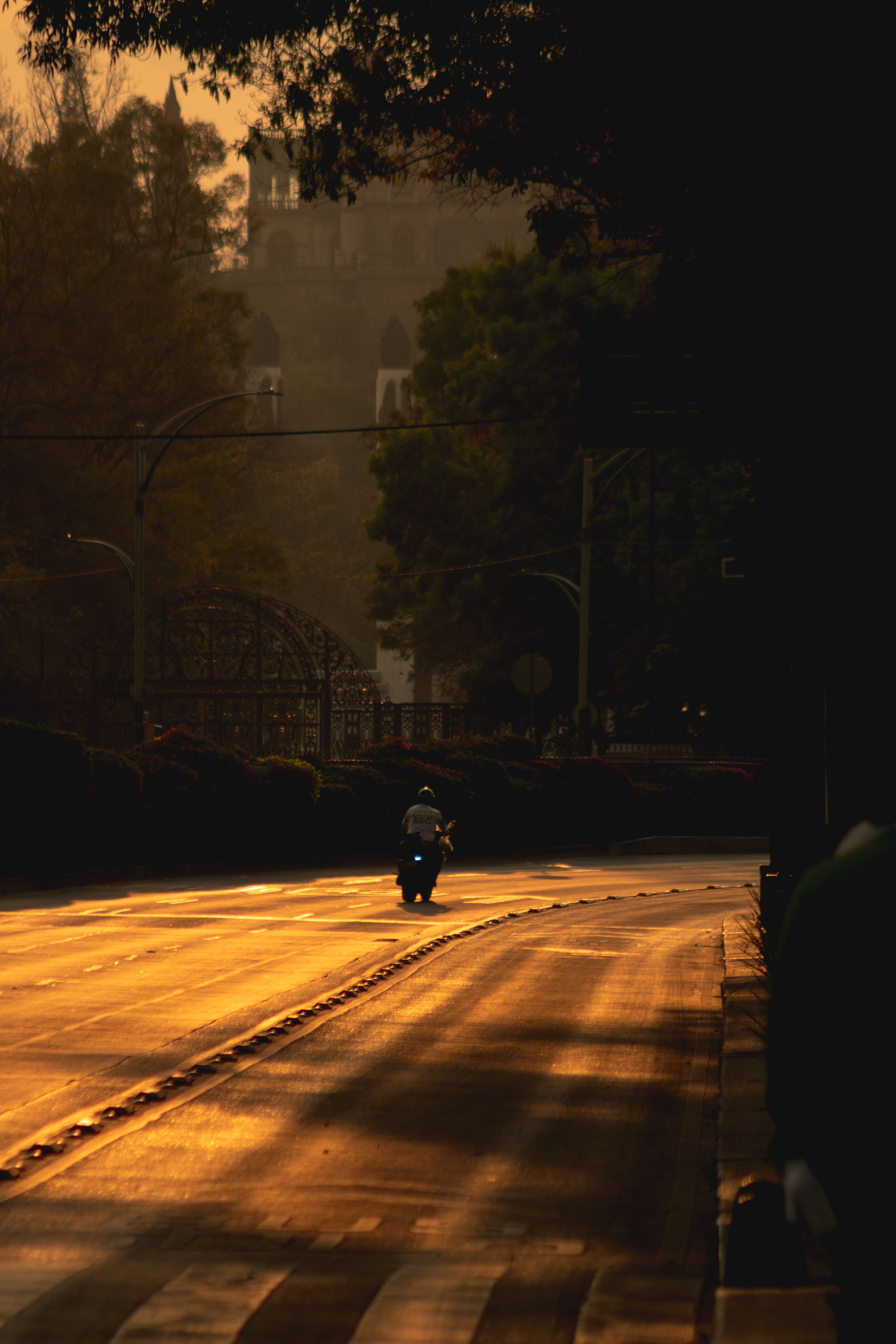 Street in Sunlight at Golden Hour · Free Stock Photo