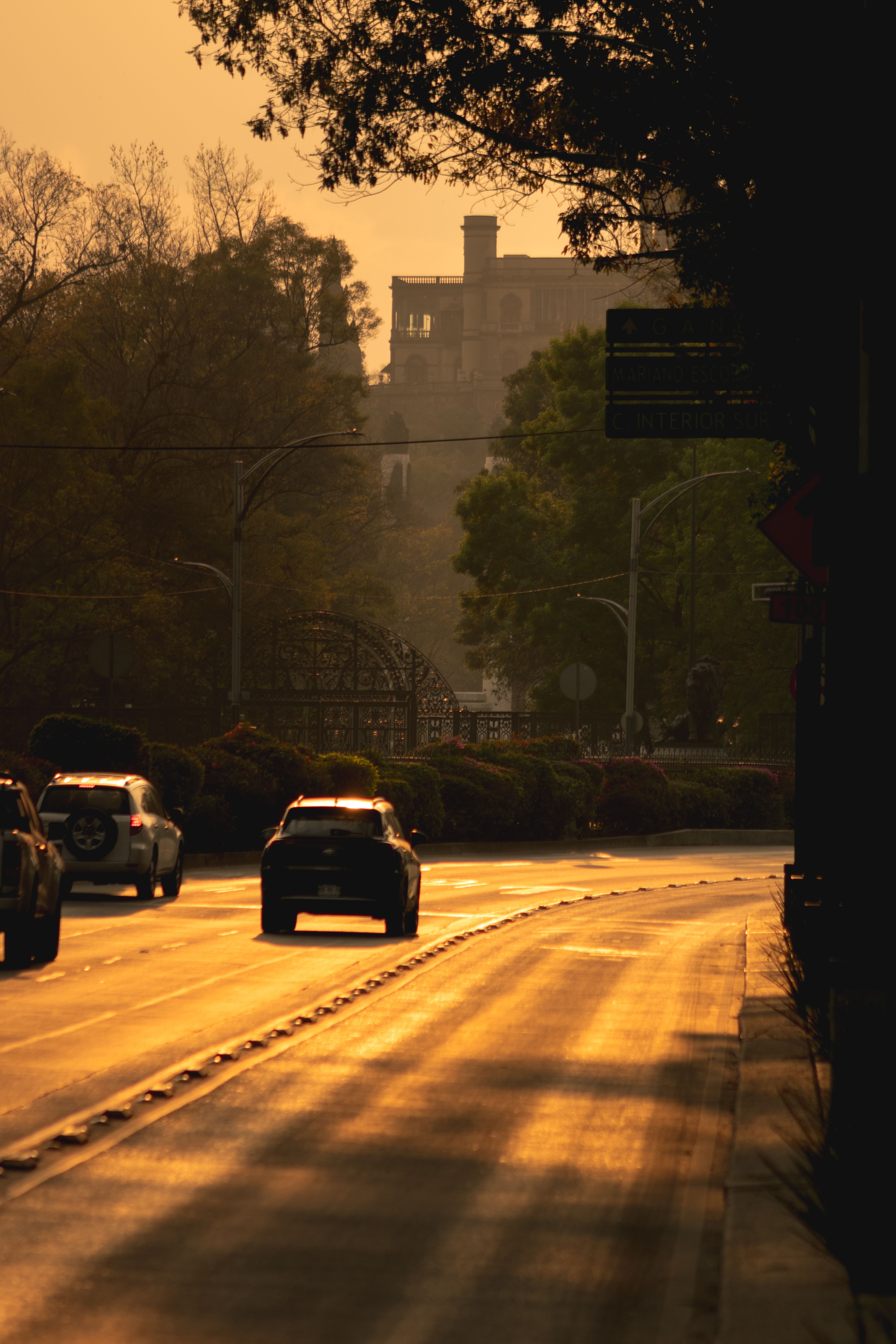 Traffic in City at Golden Hour · Free Stock Photo
