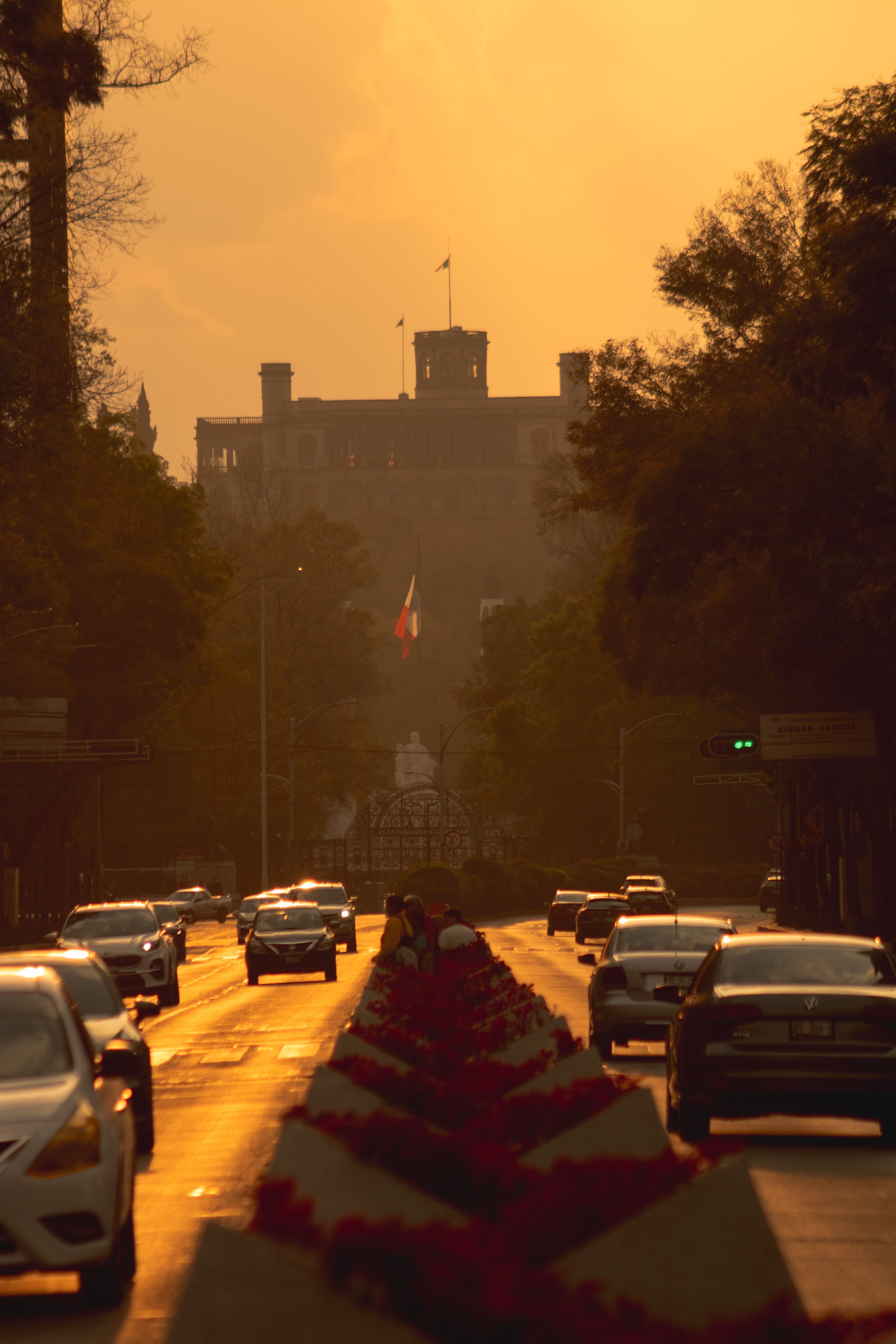 City Street at Golden Hour · Free Stock Photo
