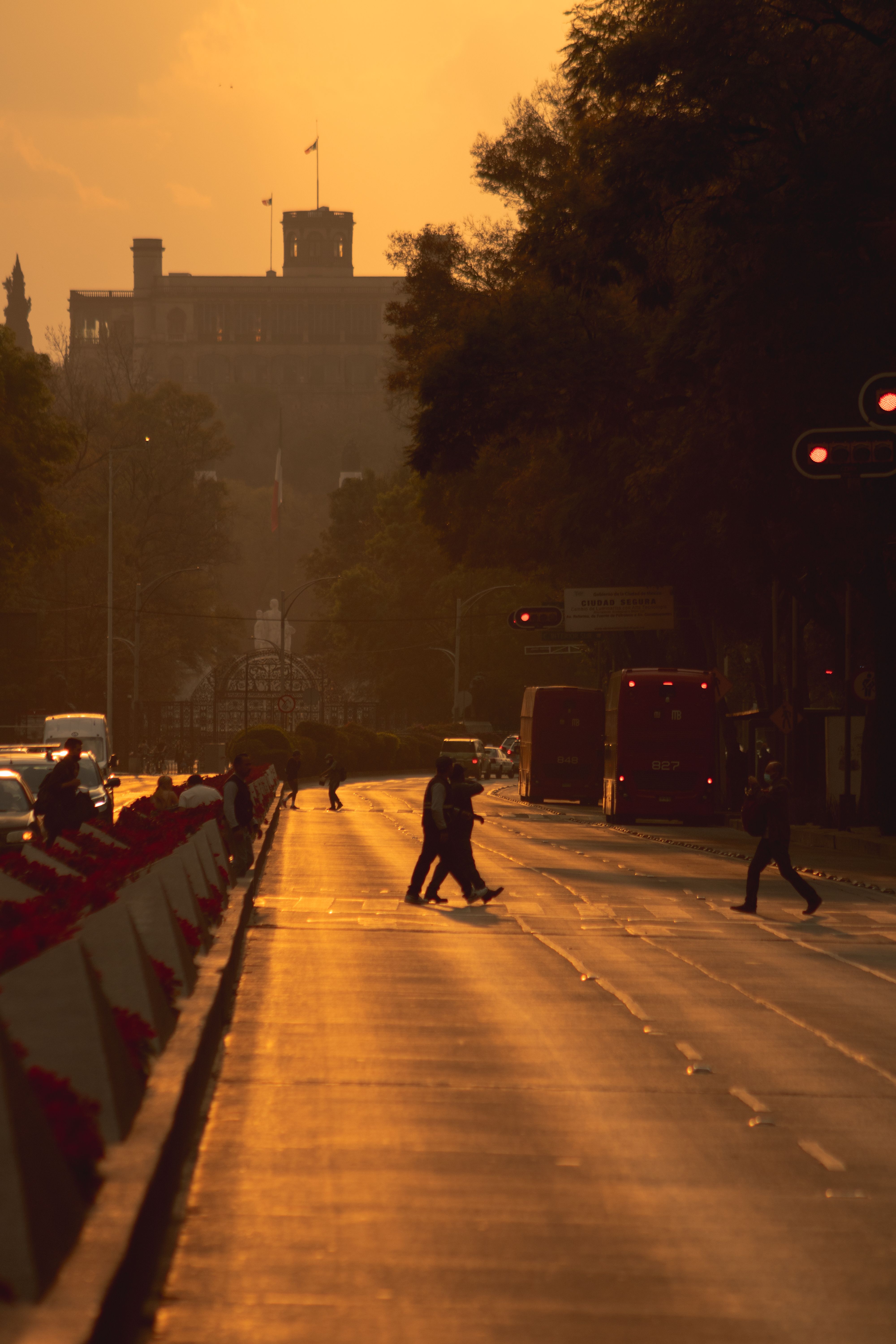 City Street at Golden Hour · Free Stock Photo