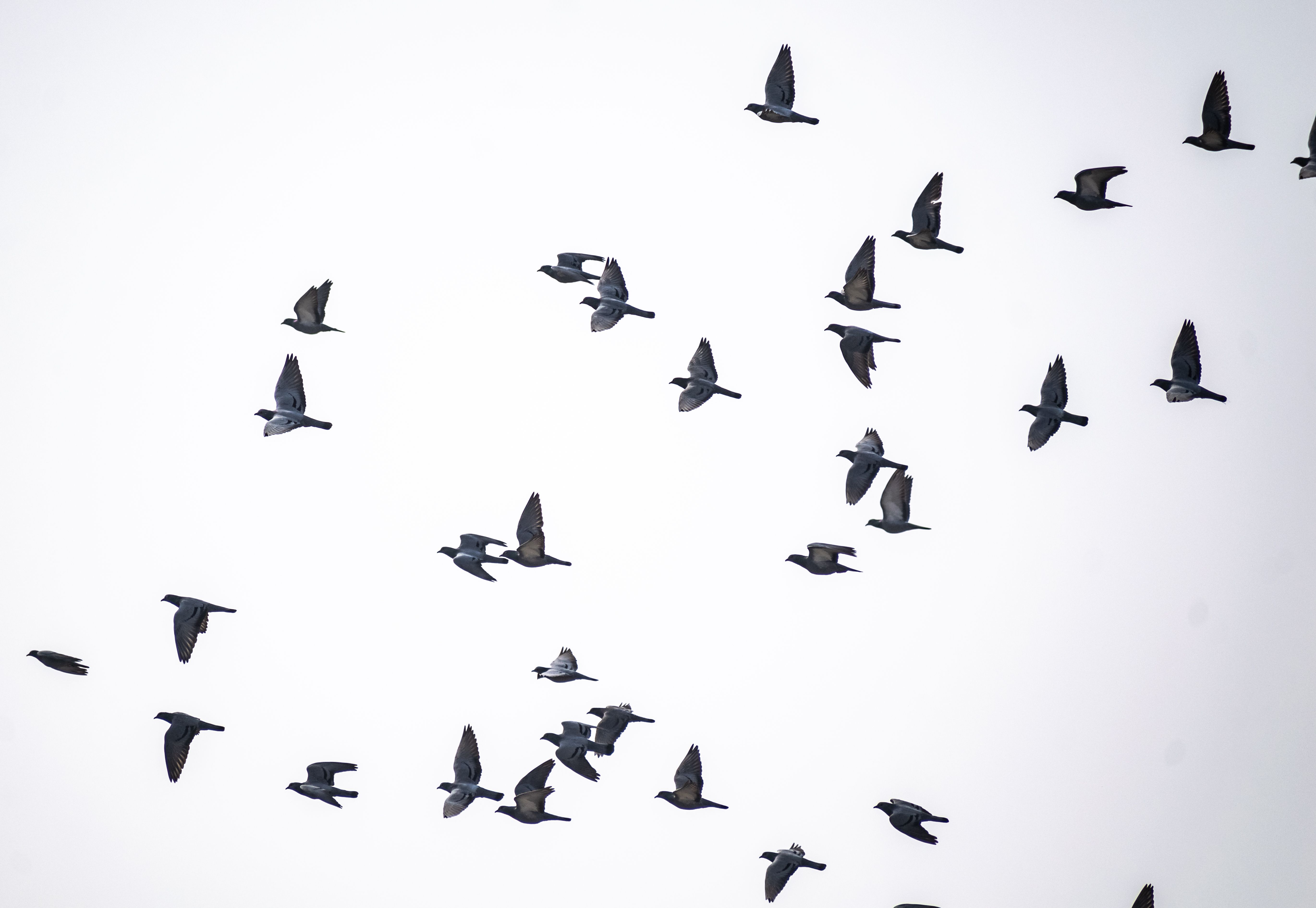 Foto de stock gratuita sobre aéreo, aire, altísimo, alto contraste ...