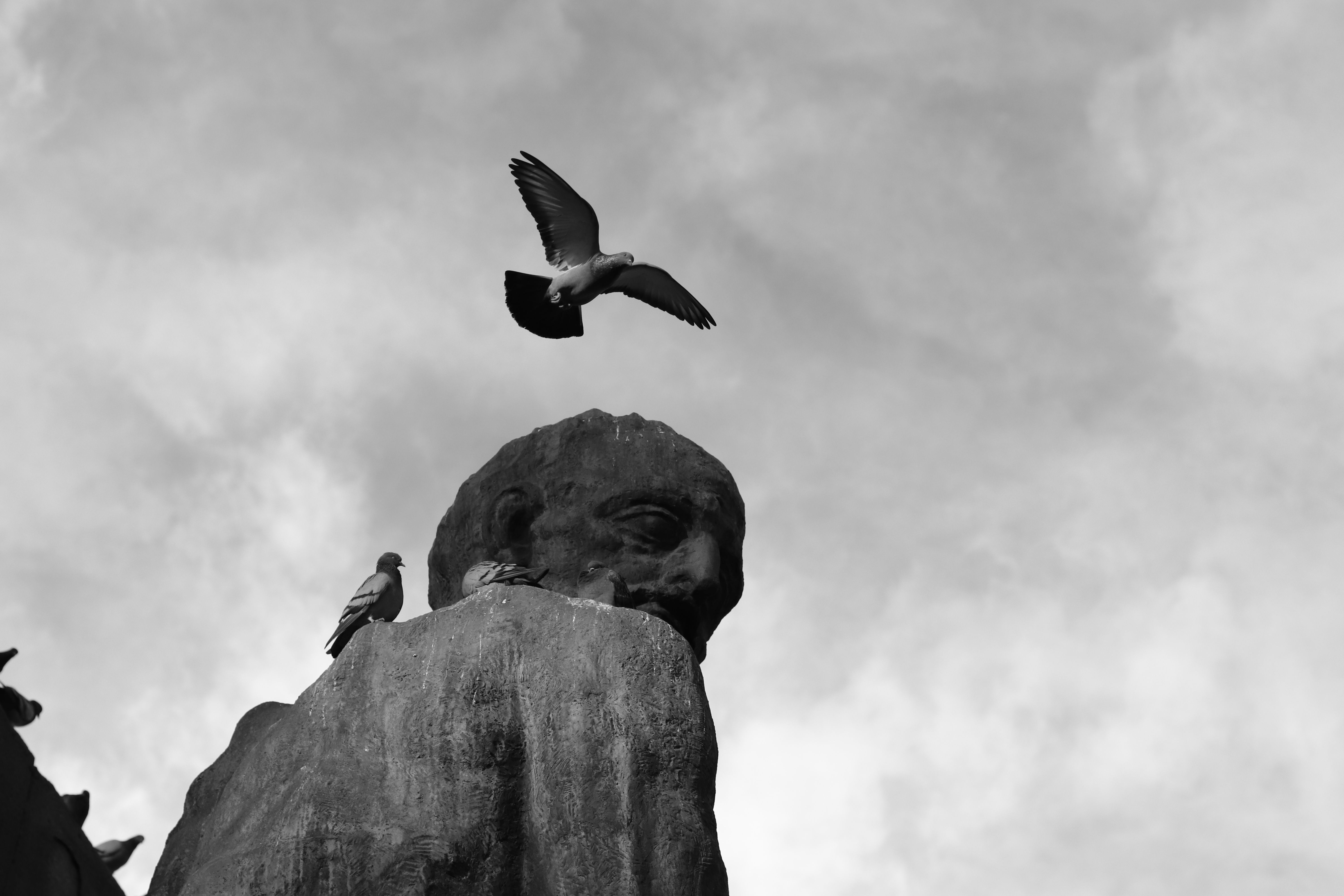 Pigeon Flying over Stone Figure · Free Stock Photo