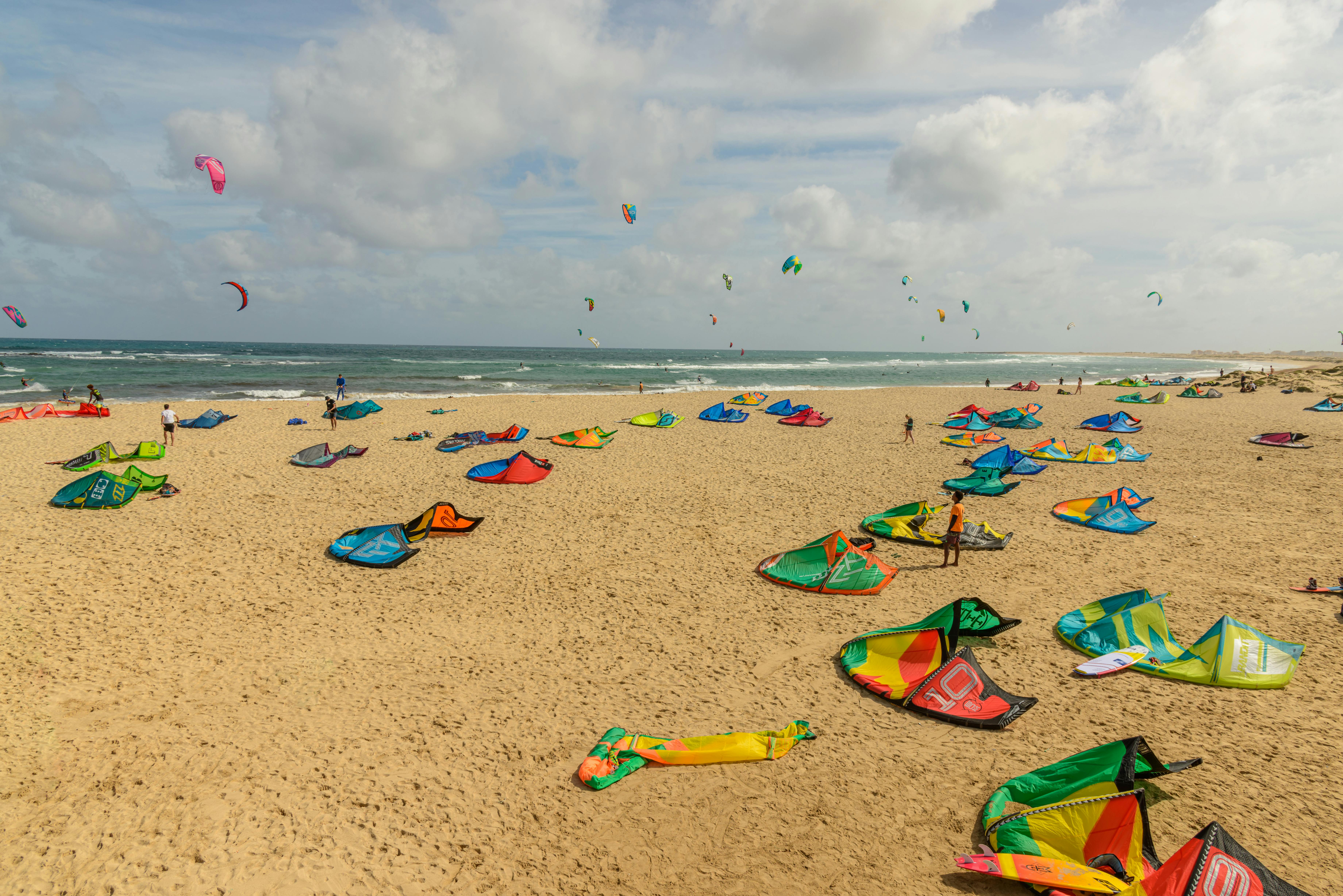 Kites on a Beach · Free Stock Photo