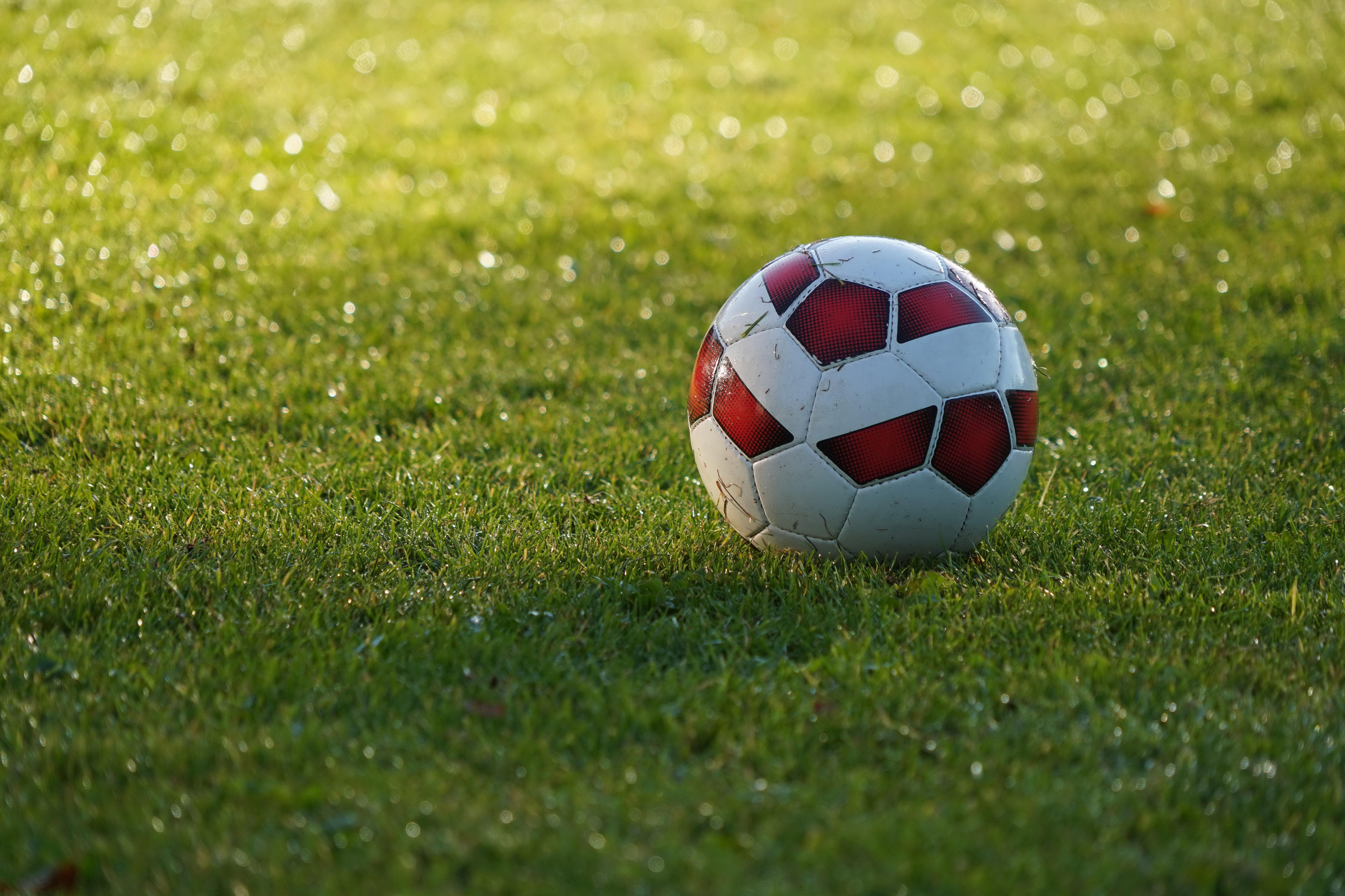 Voetbal · Free Stock Photo