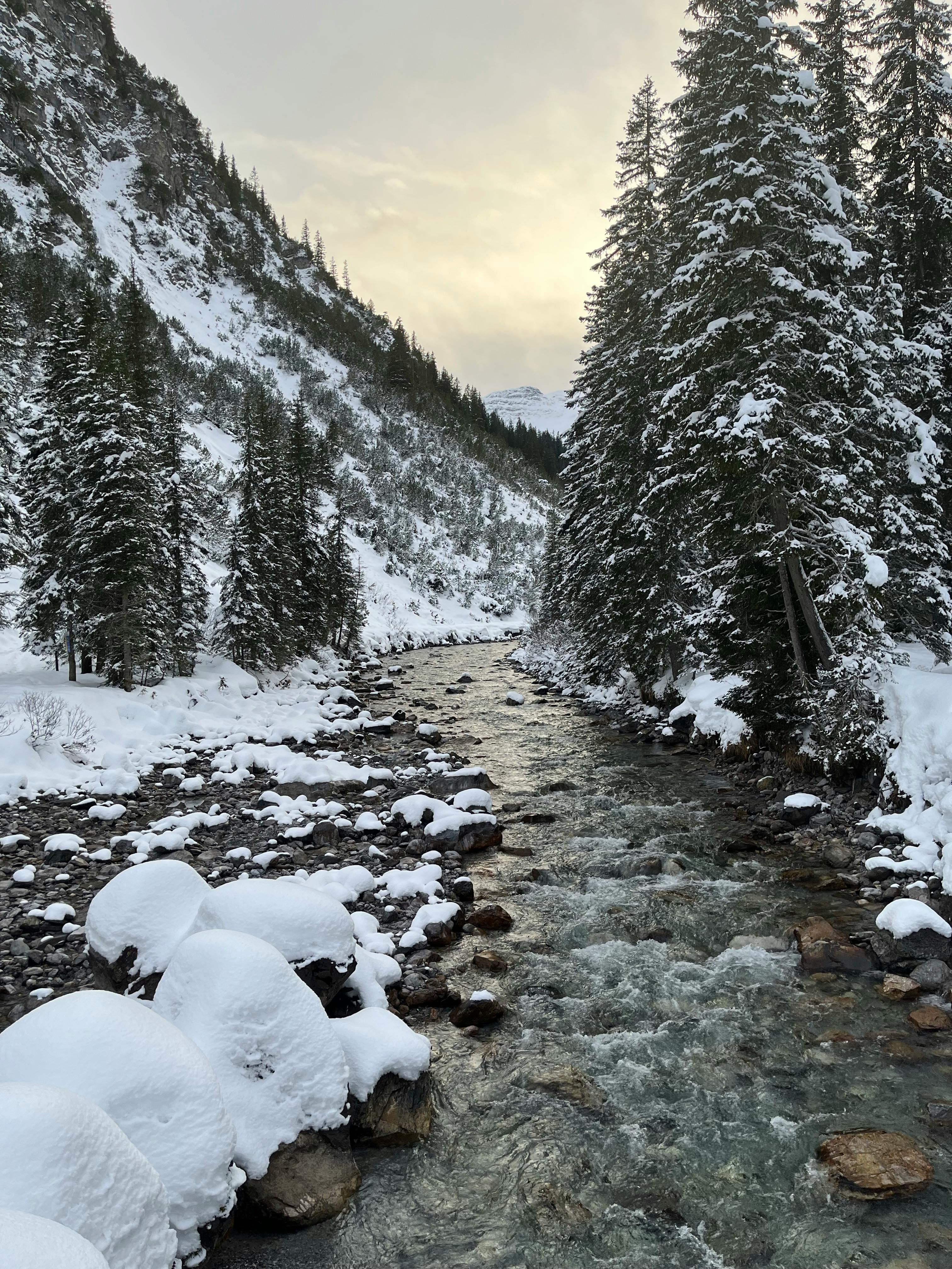 Scenic Mountain Stream in Winter · Free Stock Photo