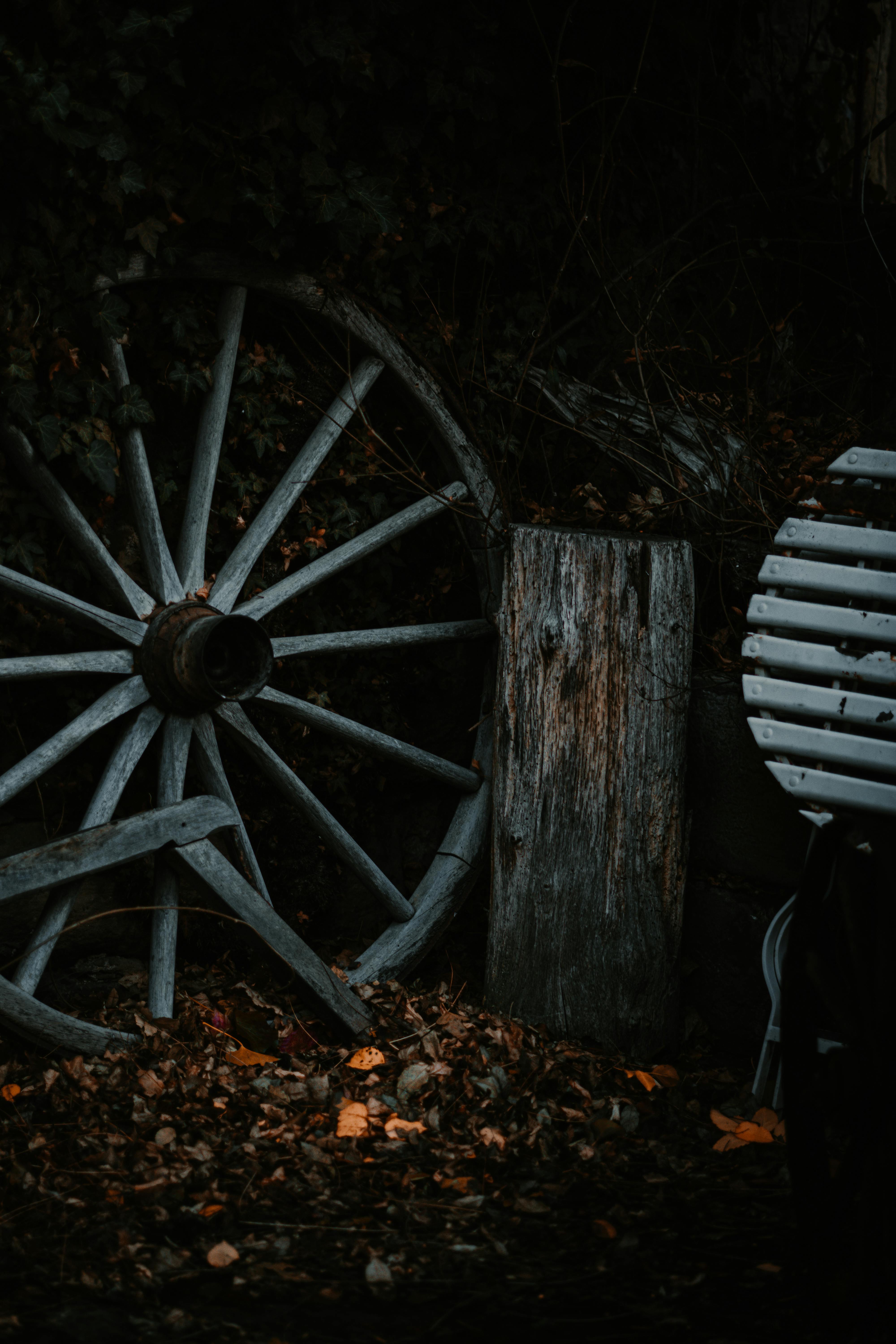 An Old Wheel Standing on the Ground with Autumnal Leaves · Free Stock Photo