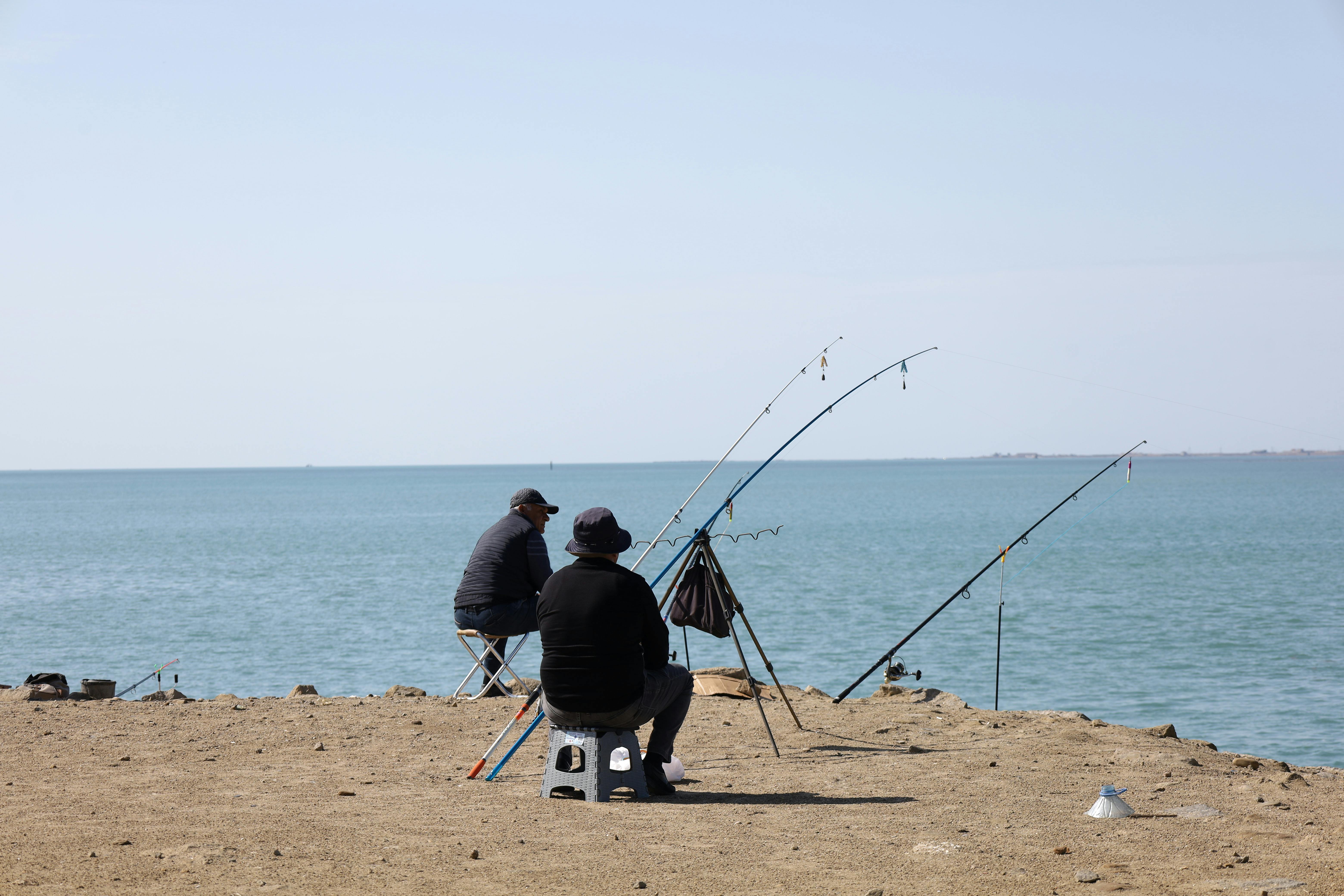 Back View of Men Fishing · Free Stock Photo