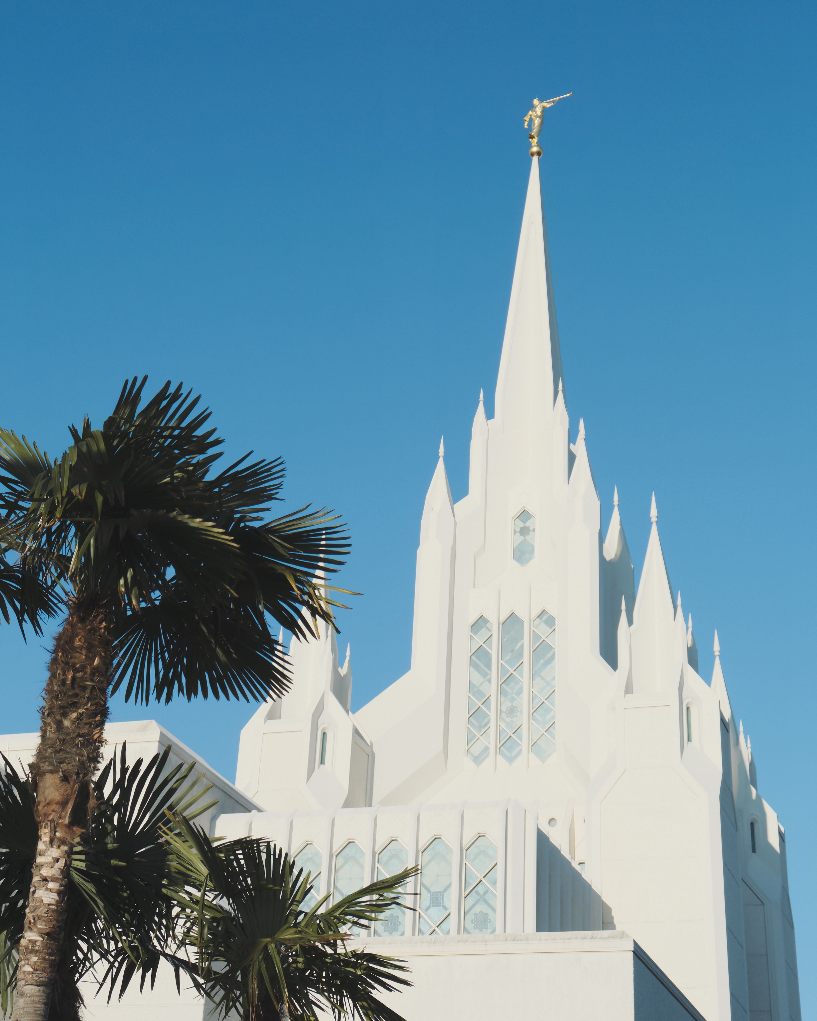 Catholic Palm Sunday Photos, Download The BEST Free Catholic Palm ...
