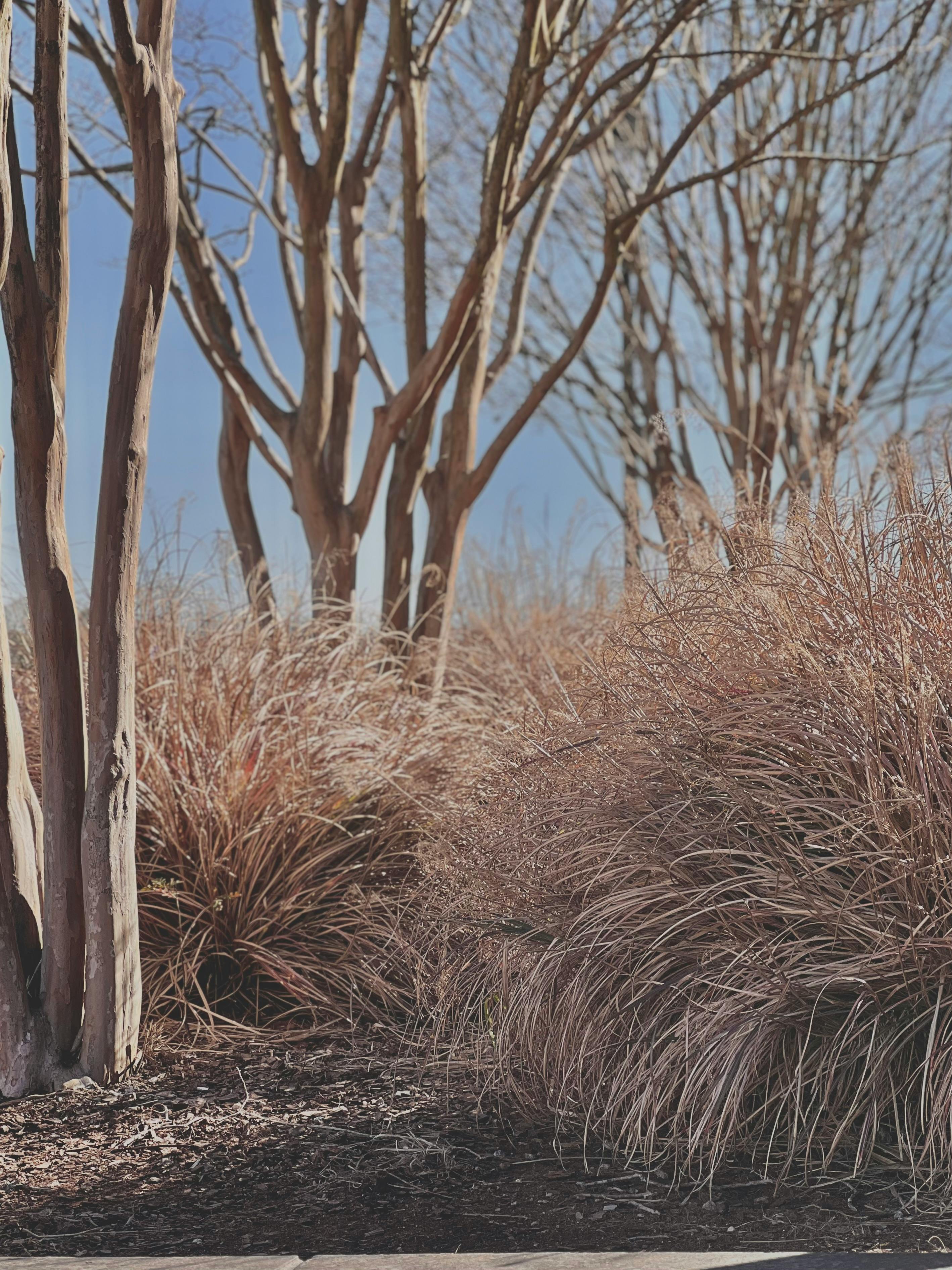 Spring Winter Photos, Download The BEST Free Spring Winter Stock Photos ...