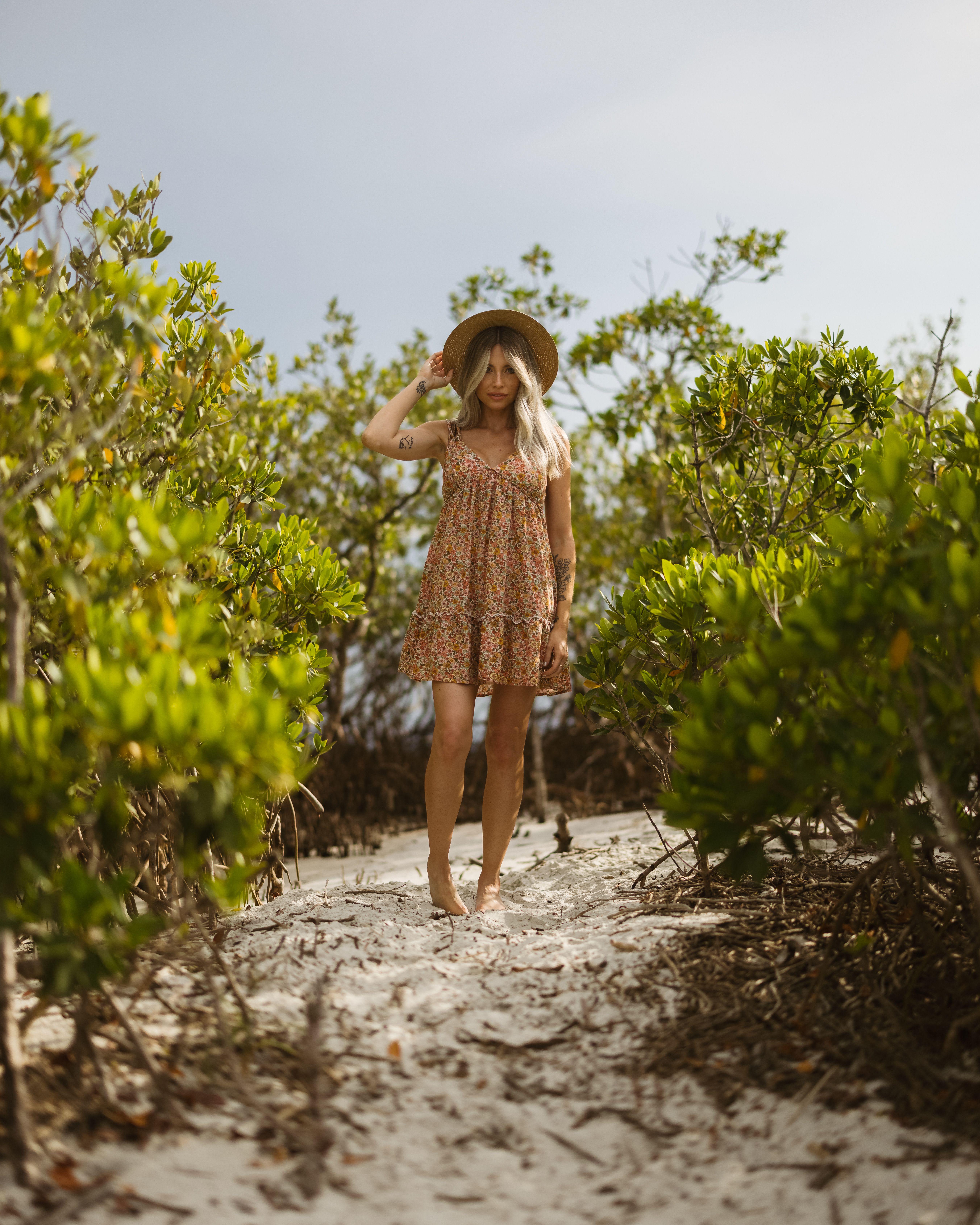 Silhouette of Person in Hat behind Bushes · Free Stock Photo
