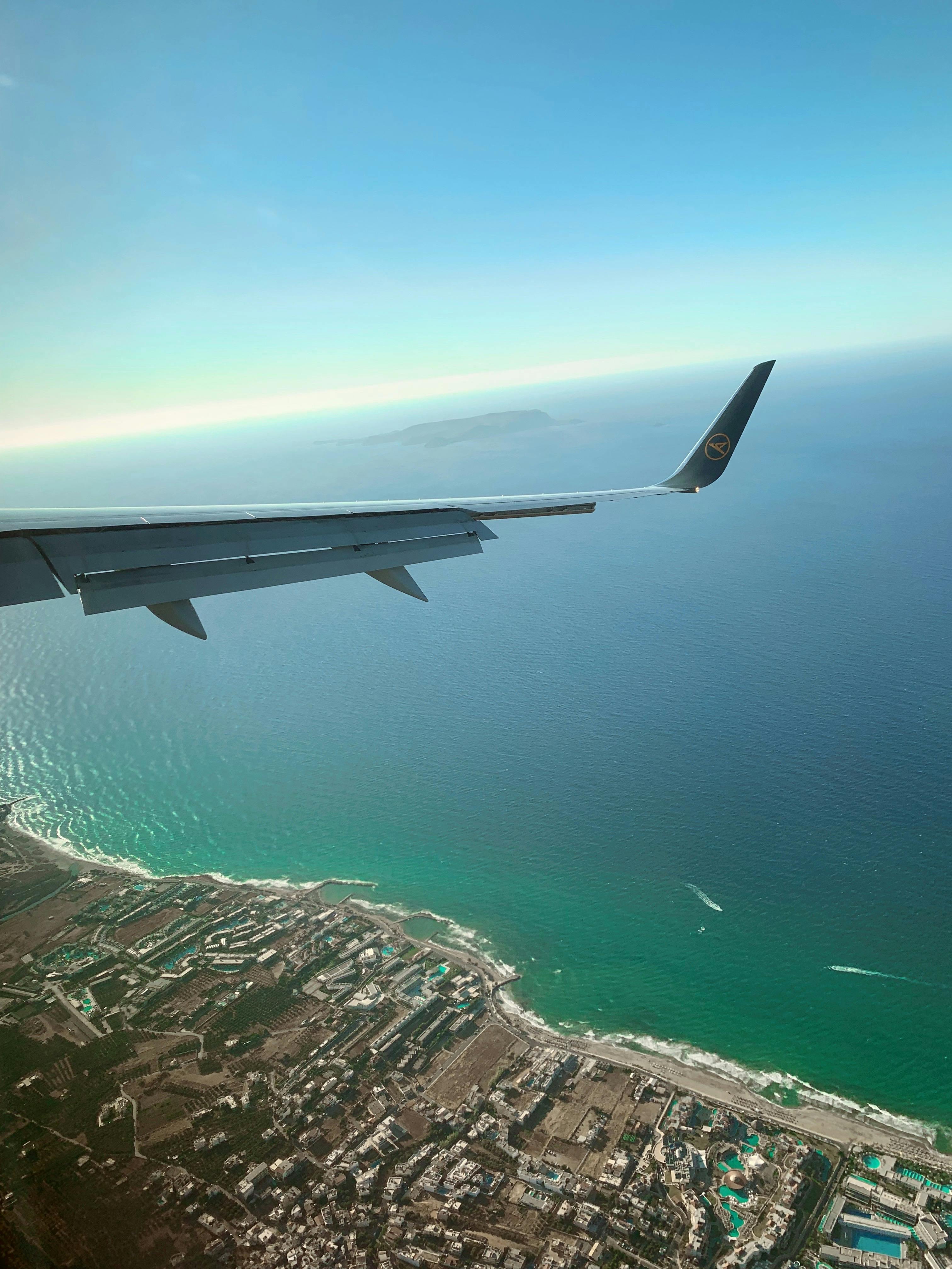 Ms. Wolf - Photography