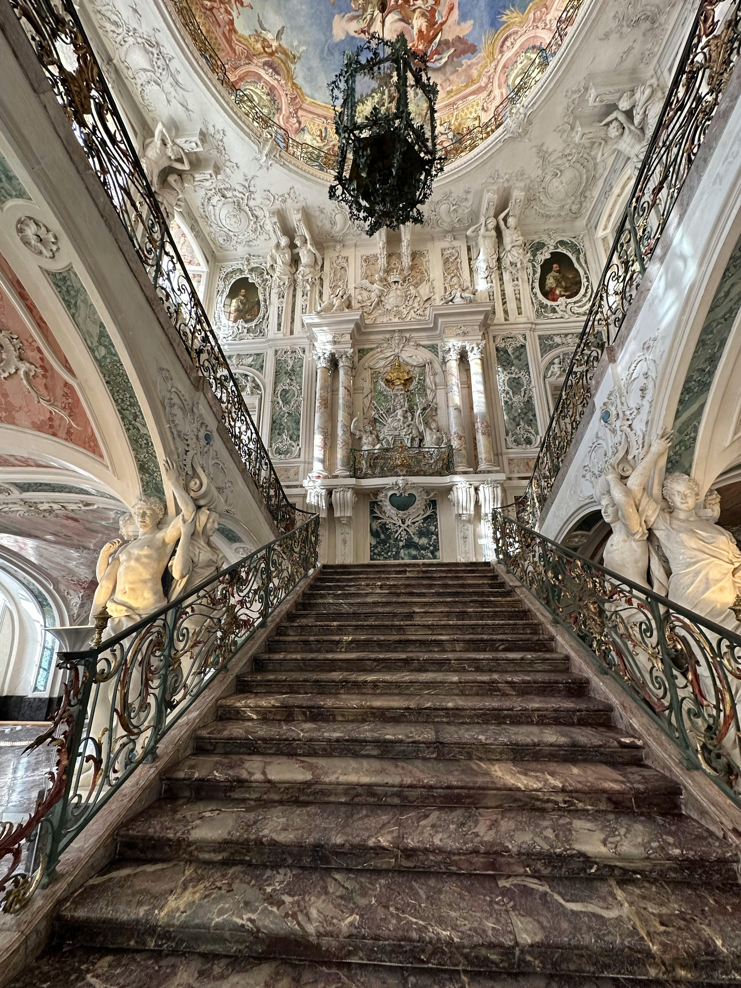 Ms. Wolf - Photography